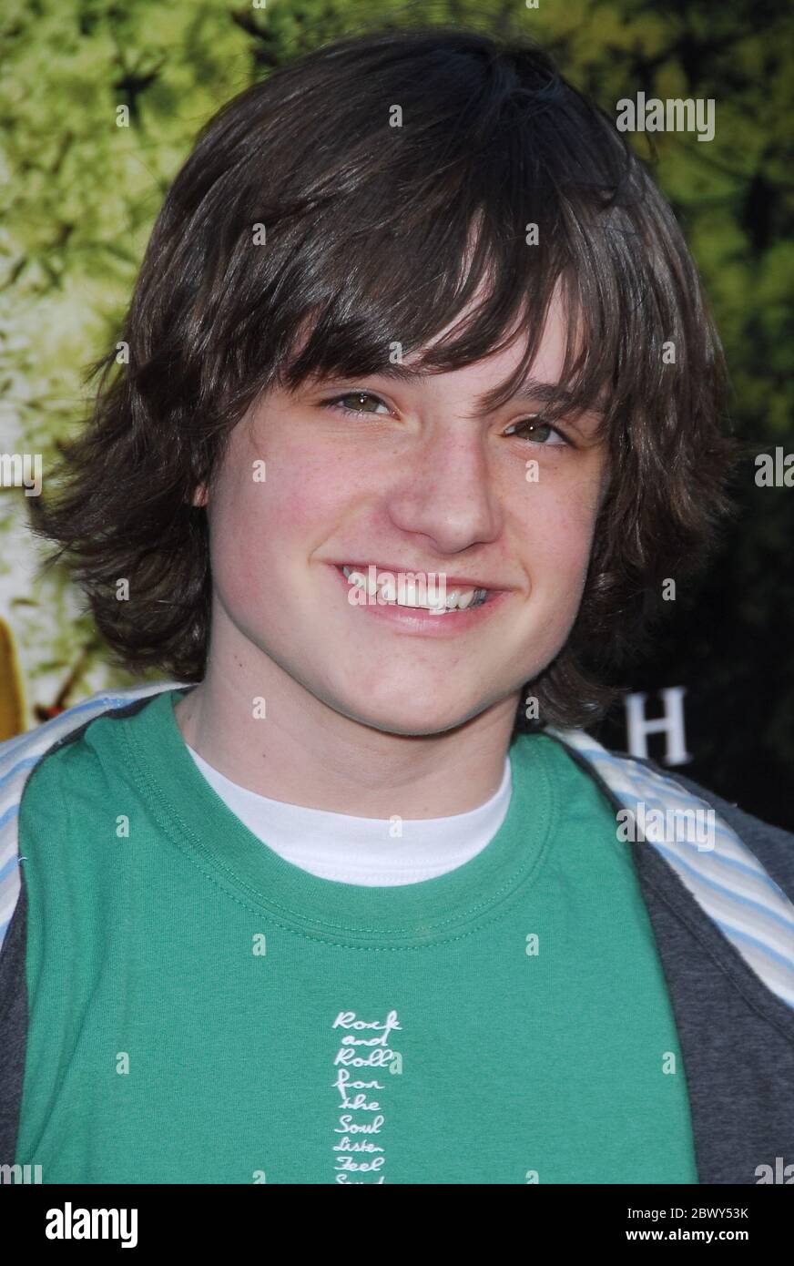 Josh Hutcherson at the Los Angeles Premiere of "The Reaping" held at ...