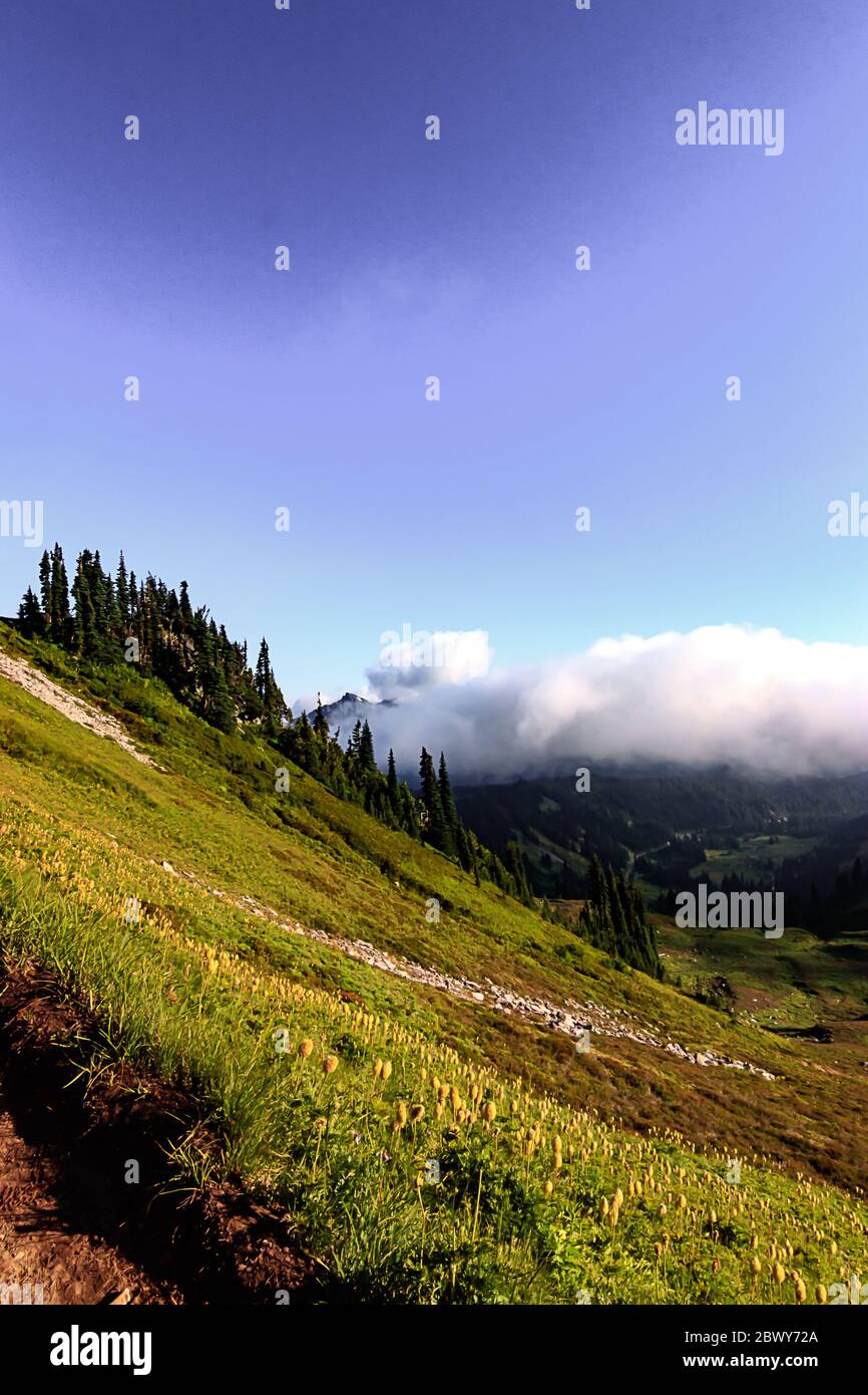 Shadowy green hill hi-res stock photography and images - Alamy