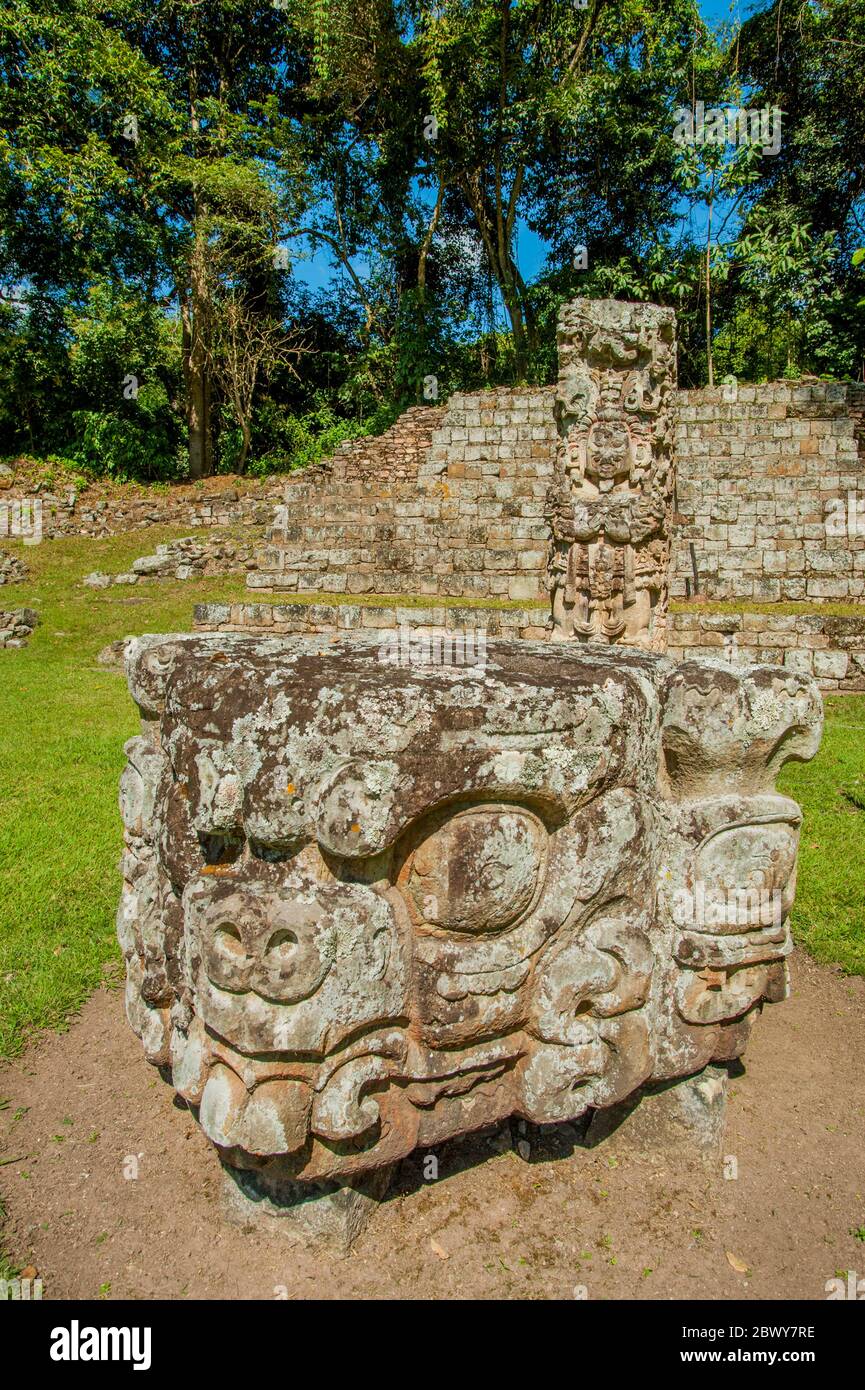 Stelae D on the Great Plaza at the Mayan archaeological site (Unesco ...