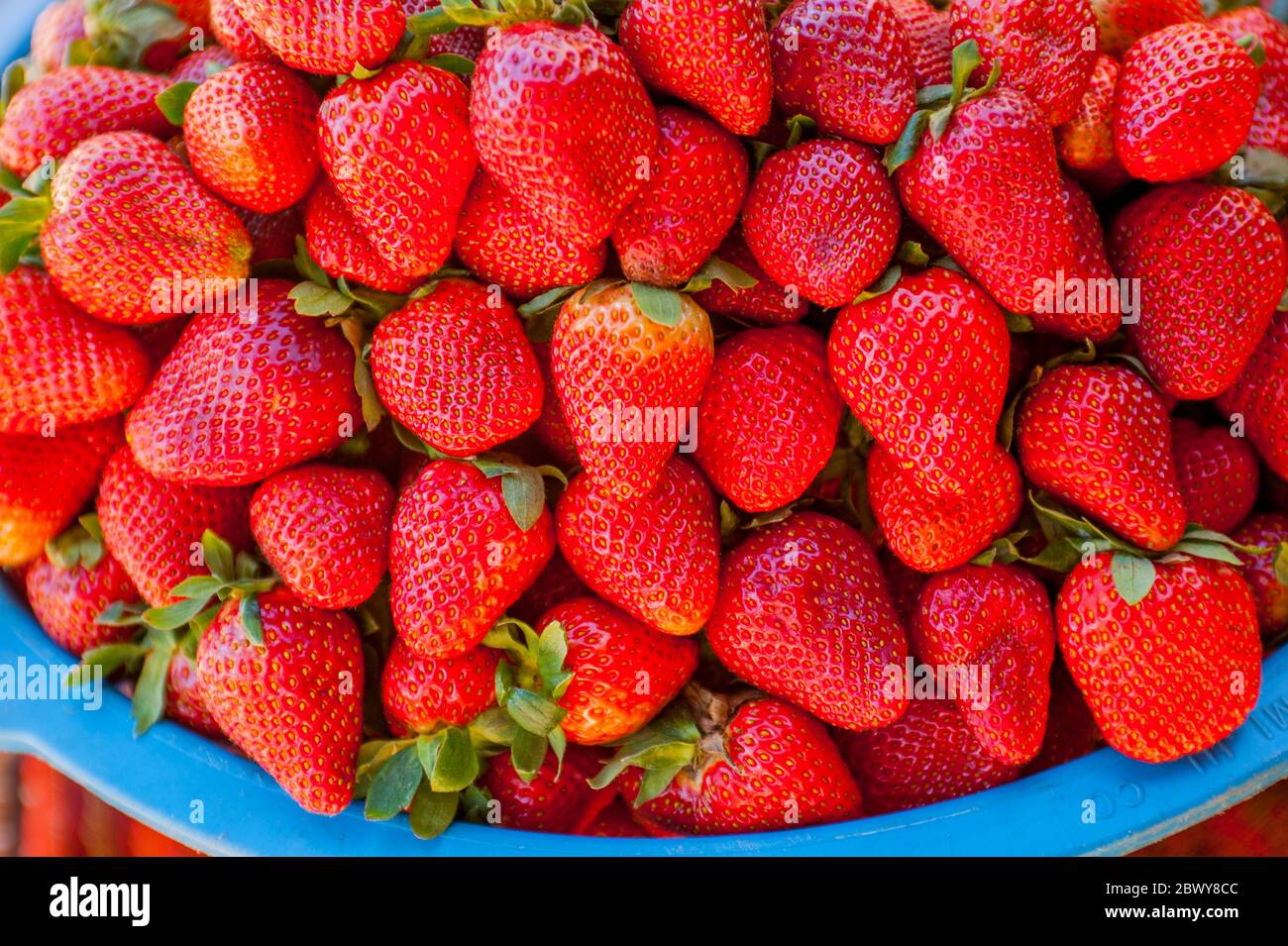Roadside strawberries hi-res stock photography and images - Alamy