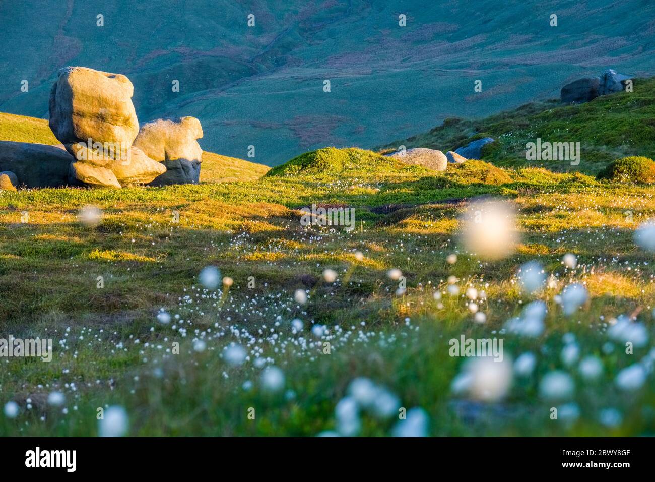 The gritstone boulders on Kinder Scout known as The Wool Packs, Peak ...