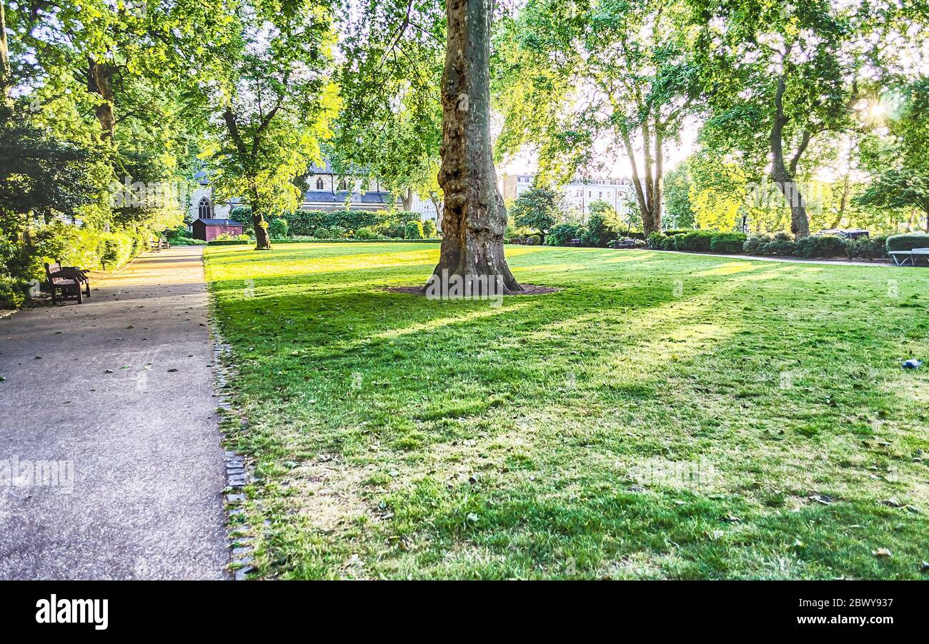 Garden in St. George's Square, Pimlico, London, UK Stock Photo - Alamy