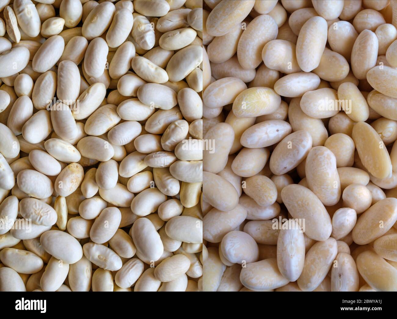 White kidney beans hi-res stock photography and images - Alamy