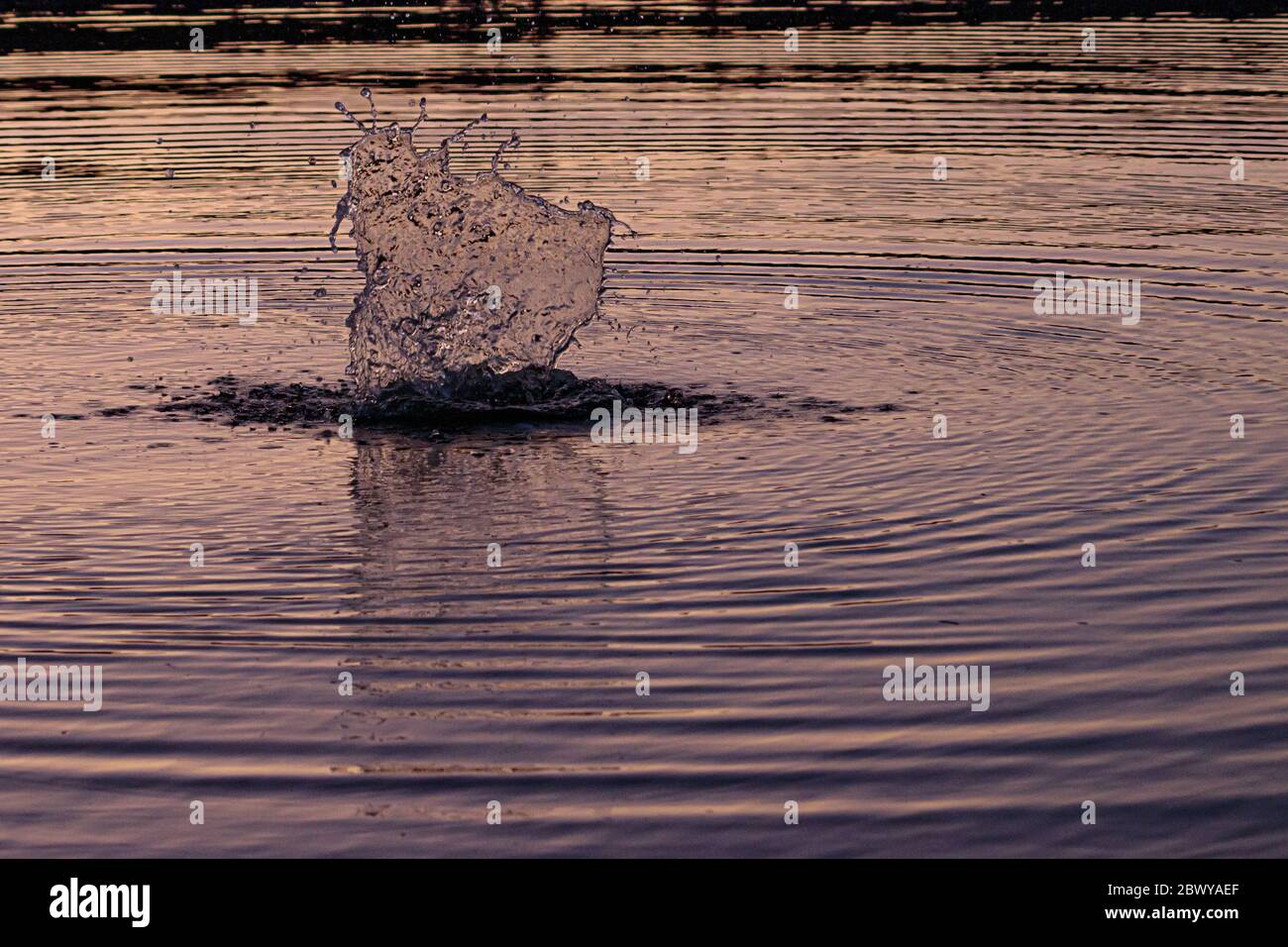 Rock skip ripples hi-res stock photography and images - Alamy