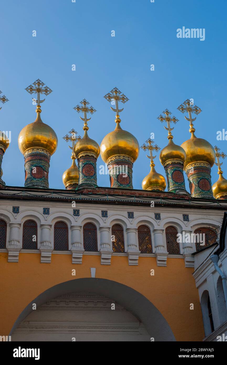 View of some of the eleven beautiful small golden domes of Terem ...