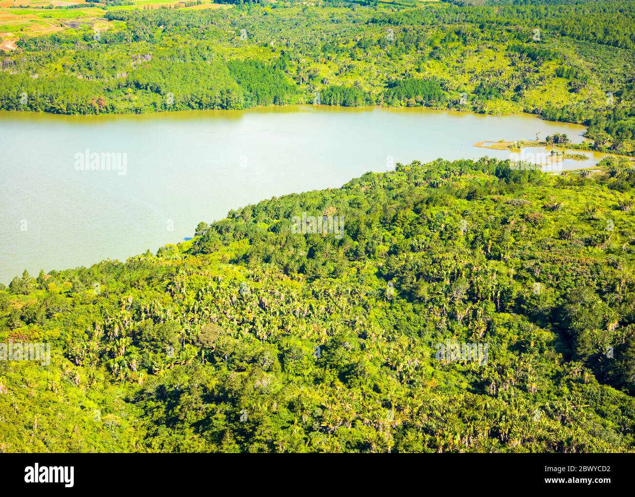 Aerial view of Black River Tamarin in Black River Gorge National Park ...