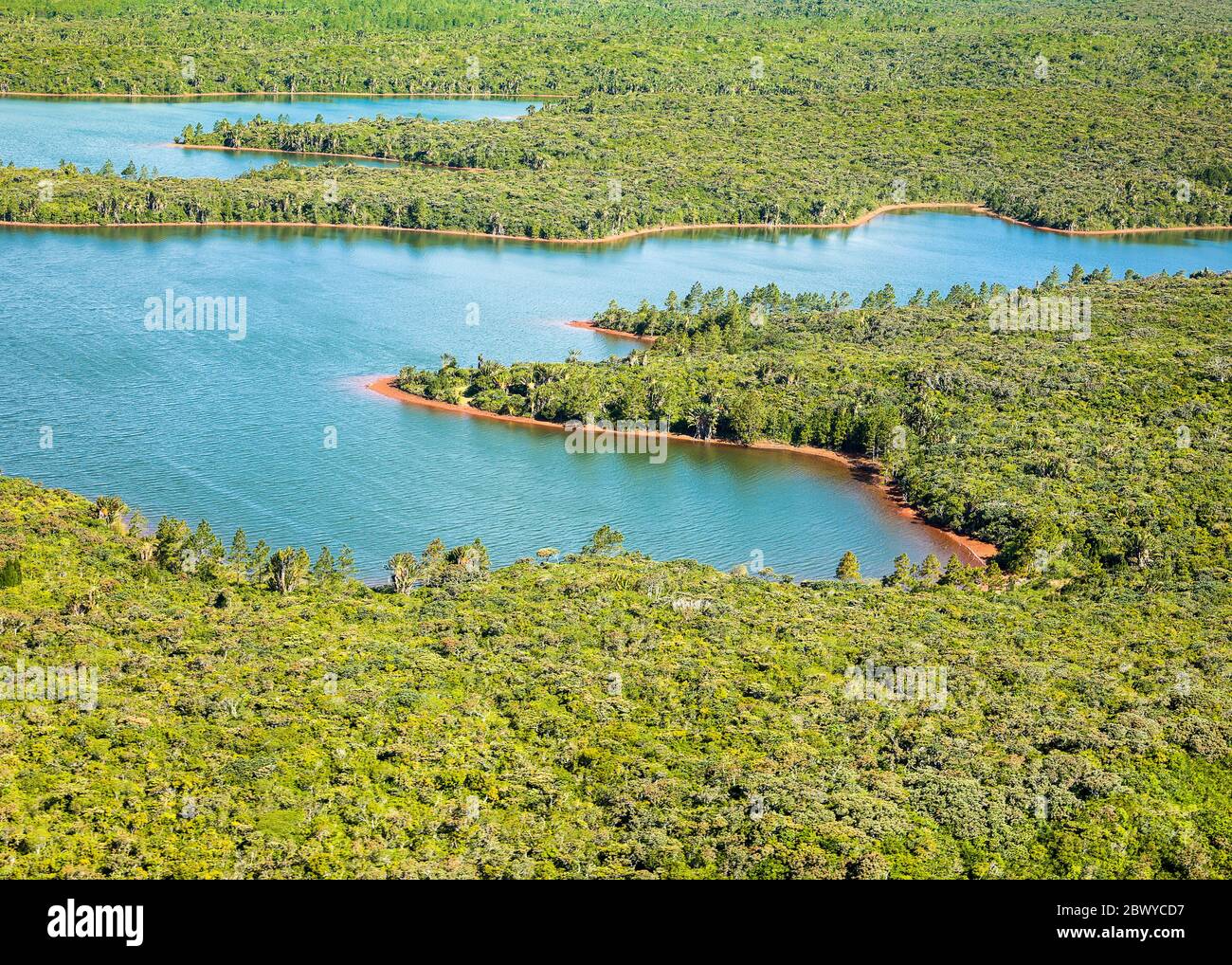 Aerial view of Black River Tamarin in Black River Gorge National Park ...