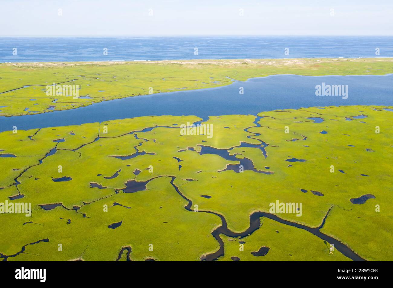 An aerial view shows narrow channels meandering through a salt marsh on ...