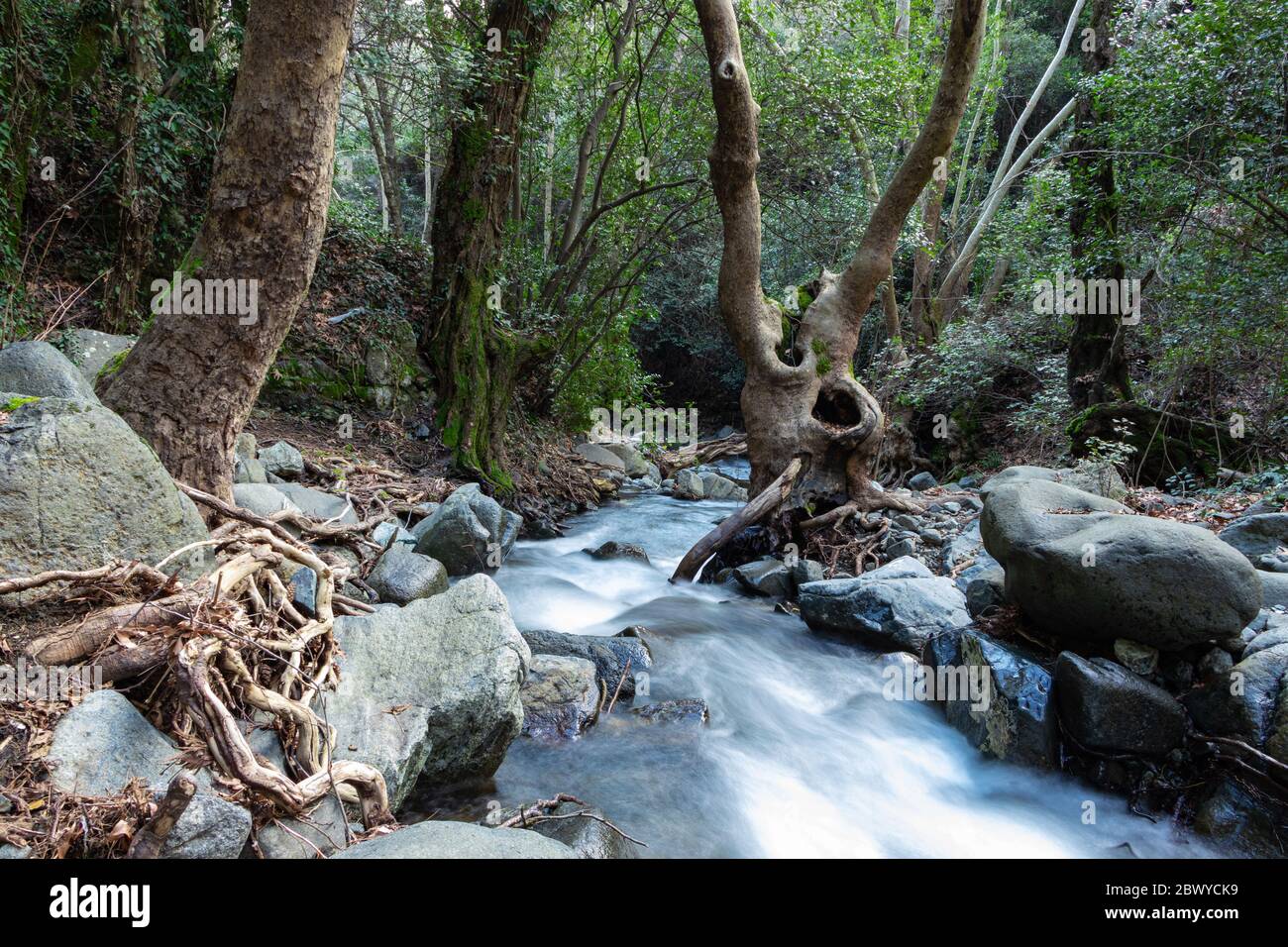 Small but long river hi-res stock photography and images - Alamy