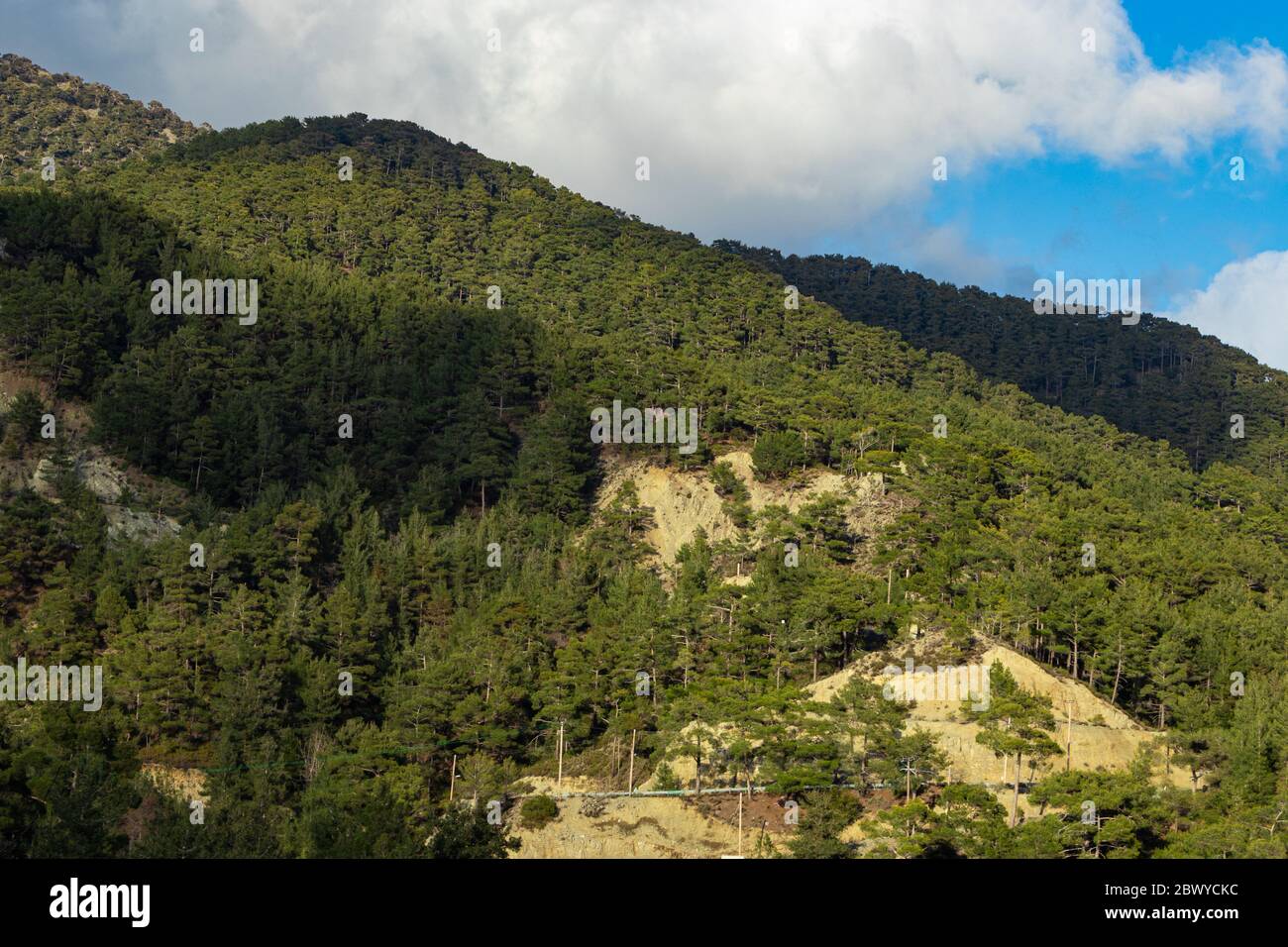 Forest view from a hill in Cyprus with clouds Stock Photo - Alamy