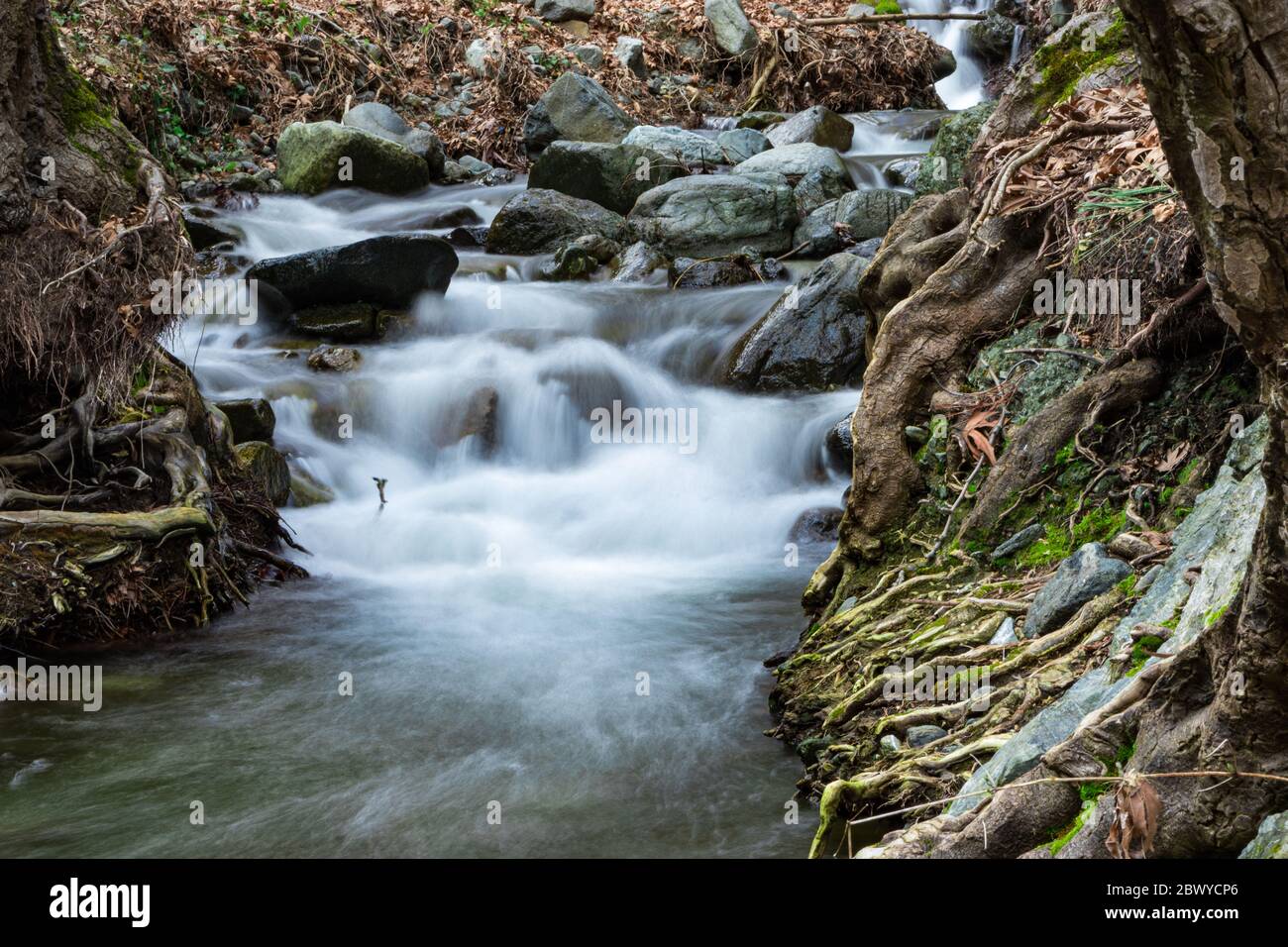Beautiful flowing river in the forest. Big and small rocks in the water ...