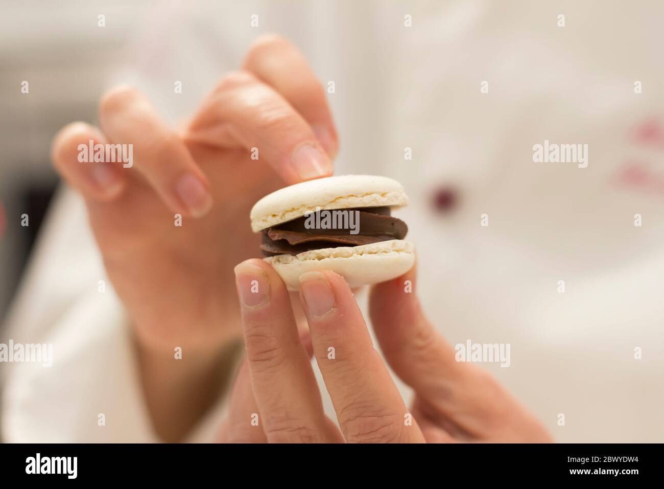 Detail of the preparation of macaron, french sweet food, inside a ...