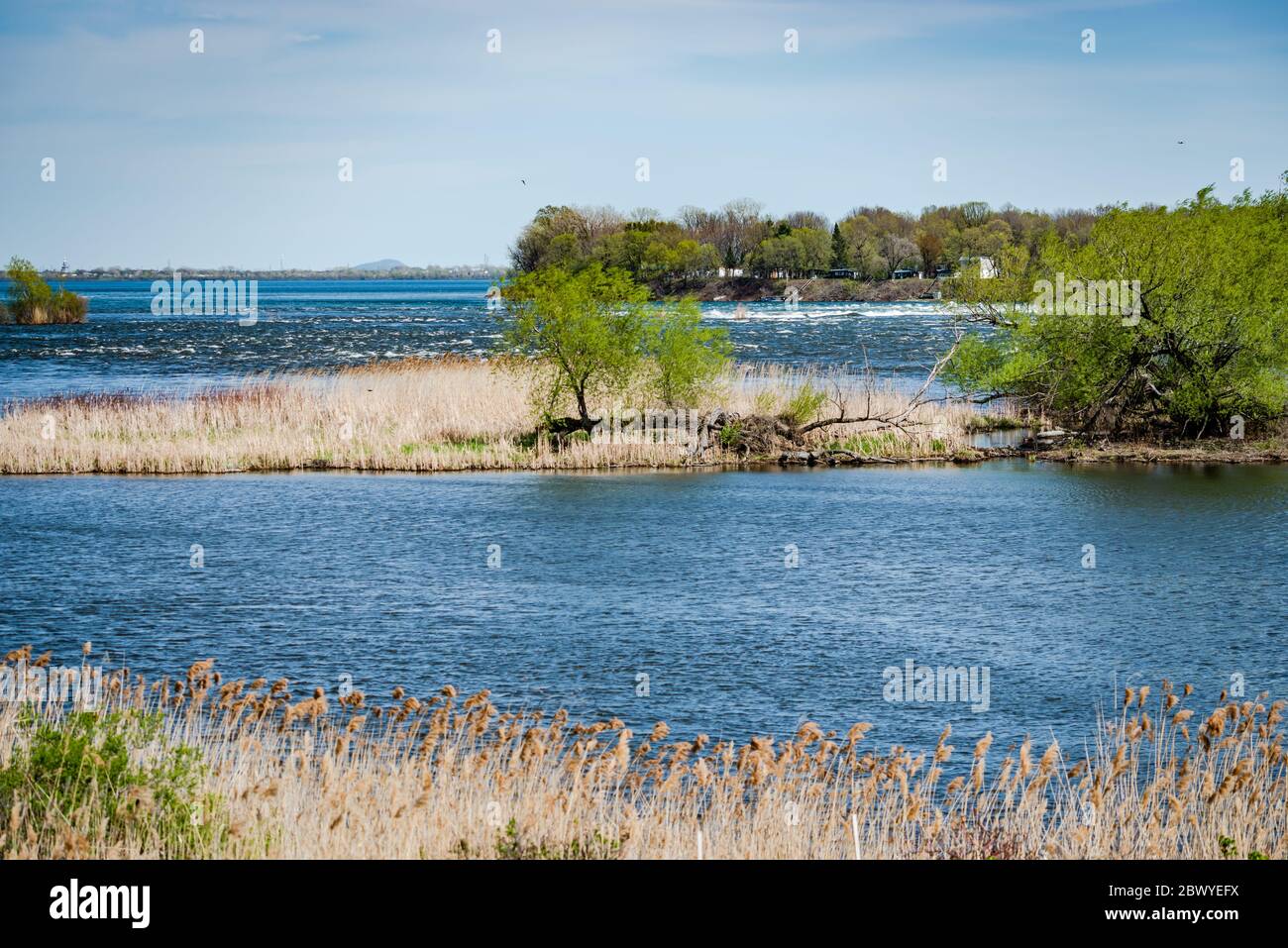 Meadow Riverside Forest High Resolution Stock Photography and Images ...