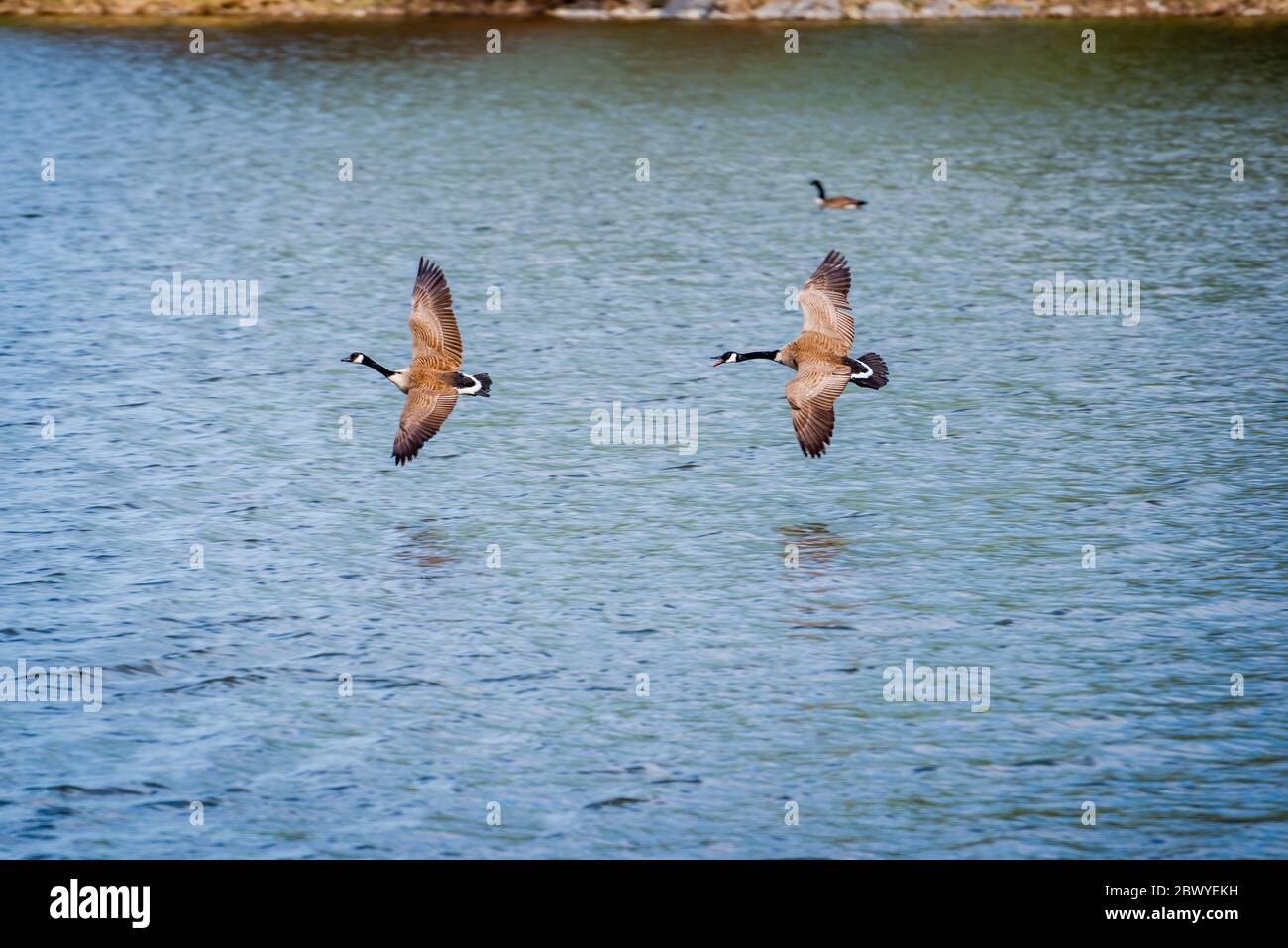 Springtime activities hi-res stock photography and images - Alamy