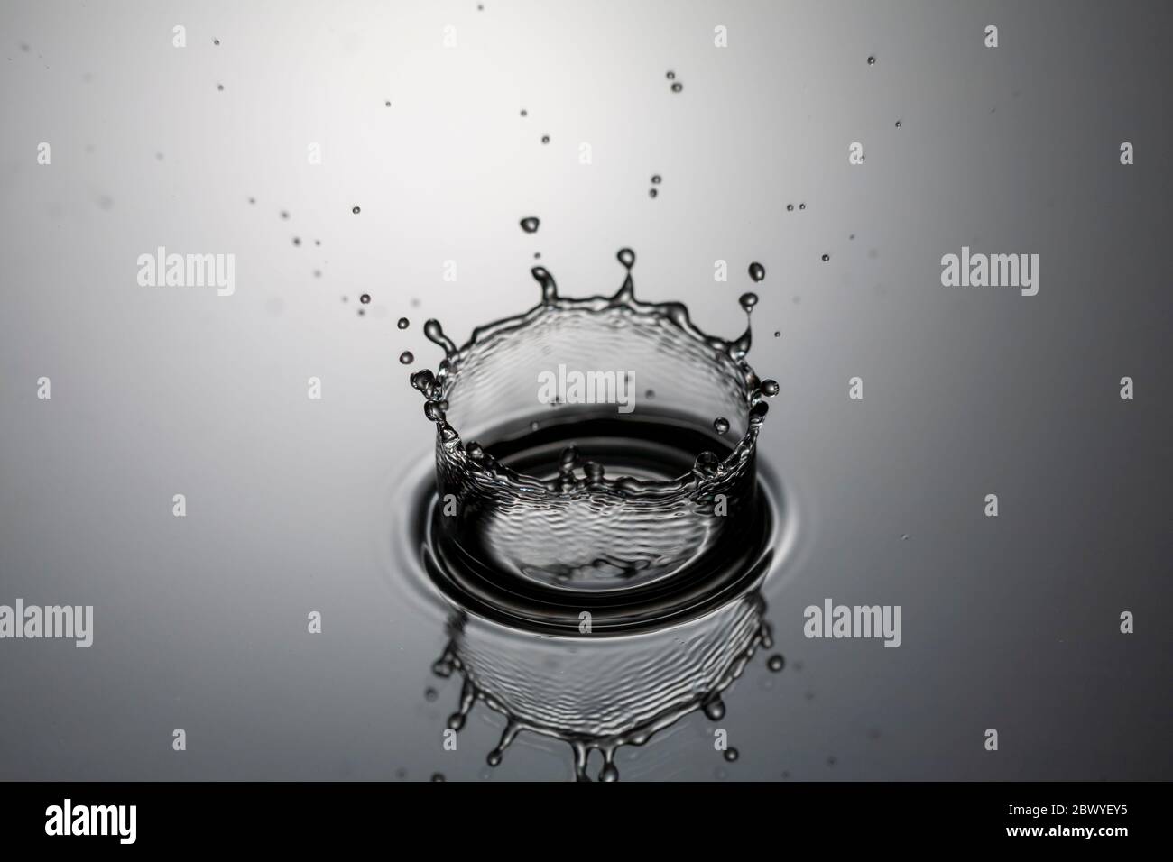 Water drop splashing on the surface of a puddle of water Stock Photo ...
