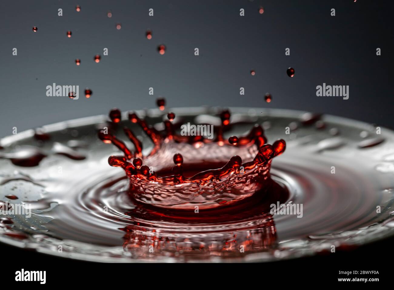 Red water drop splashing - high speed photo Stock Photo - Alamy