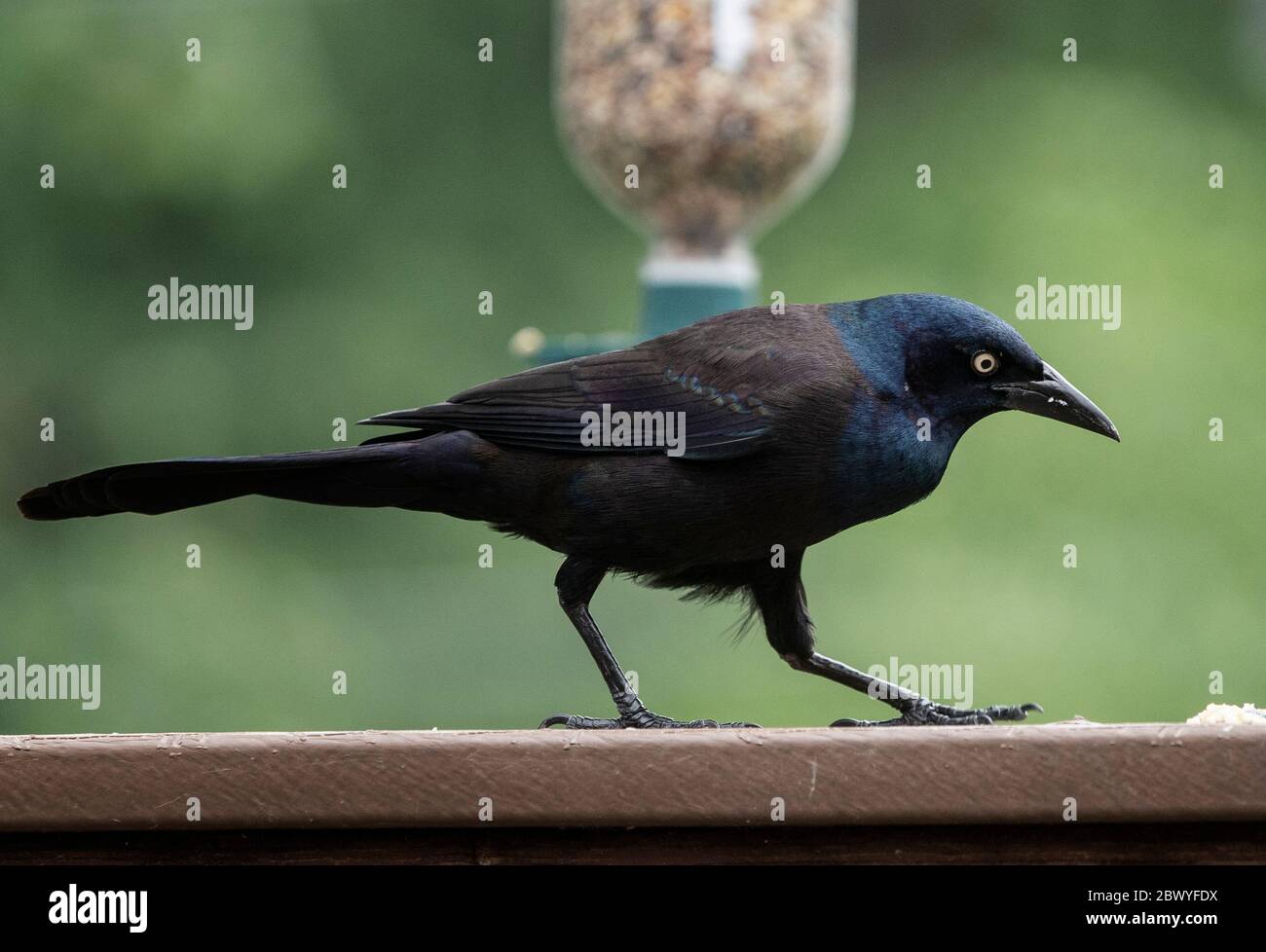 Deck struts hi-res stock photography and images - Alamy