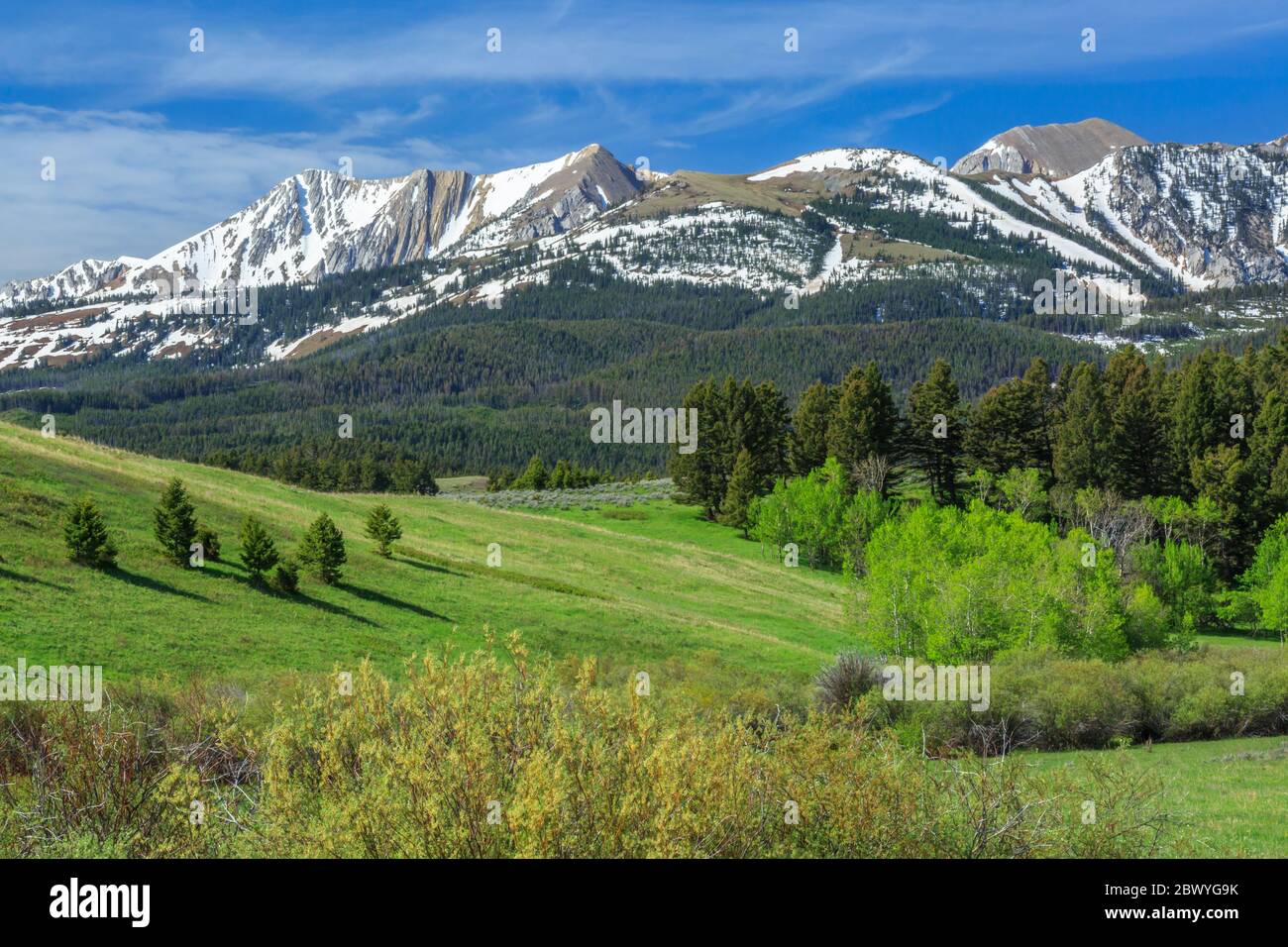 bridger mountains above foothills near wilsall, montana Stock Photo - Alamy