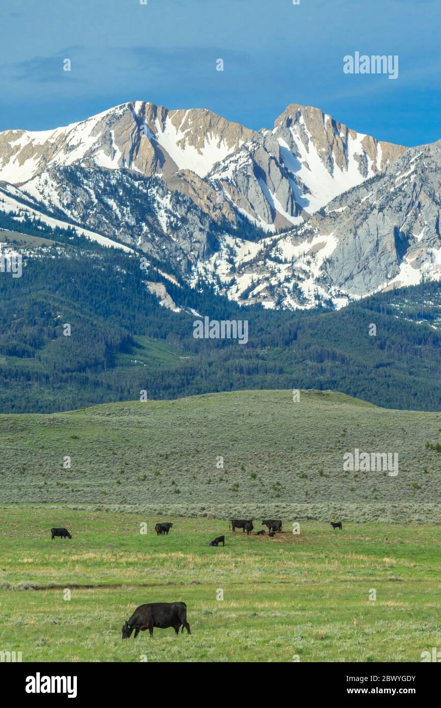 Wilsall peak hi-res stock photography and images - Alamy