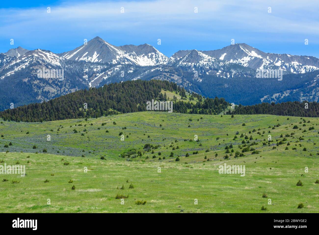 Mt d8088 hi-res stock photography and images - Alamy