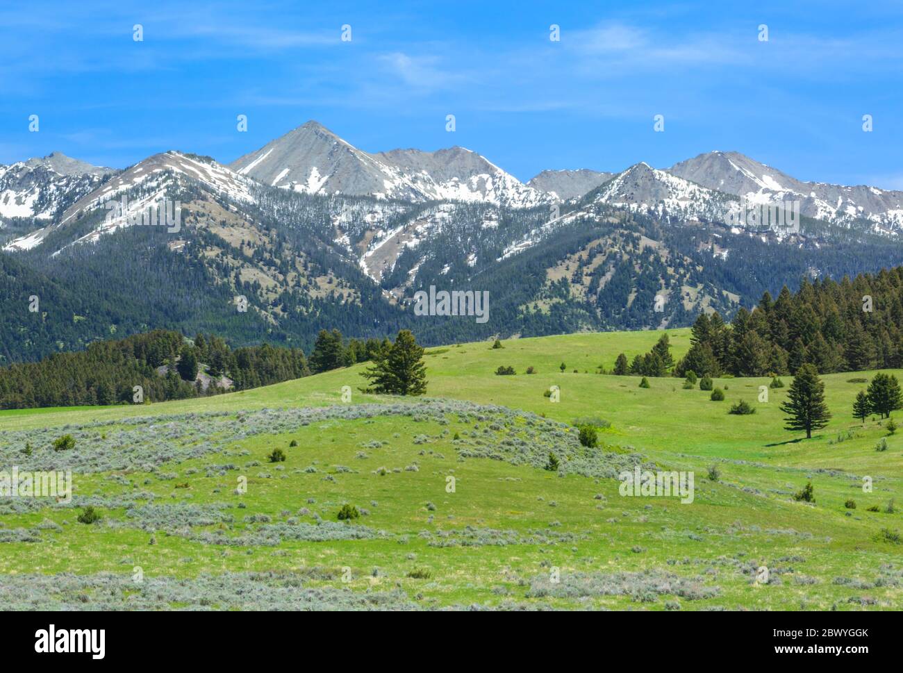 Mt d8149 hi-res stock photography and images - Alamy