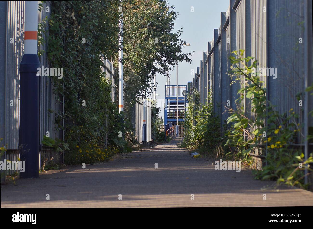Low-angle view of an urban alleyway with high fence and weeds Stock ...