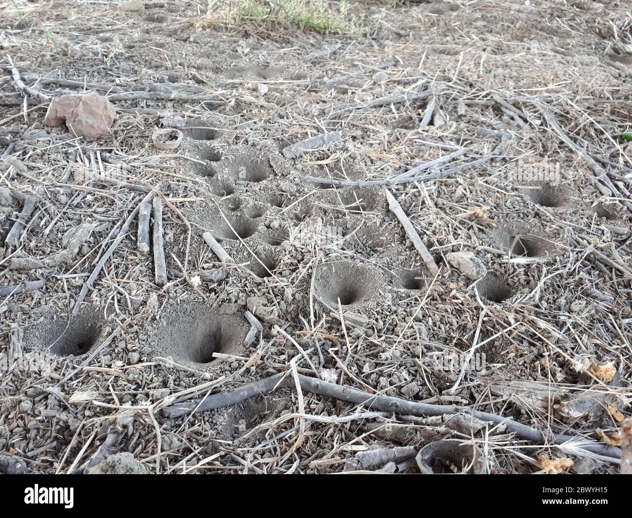 Digged holes hi-res stock photography and images - Alamy