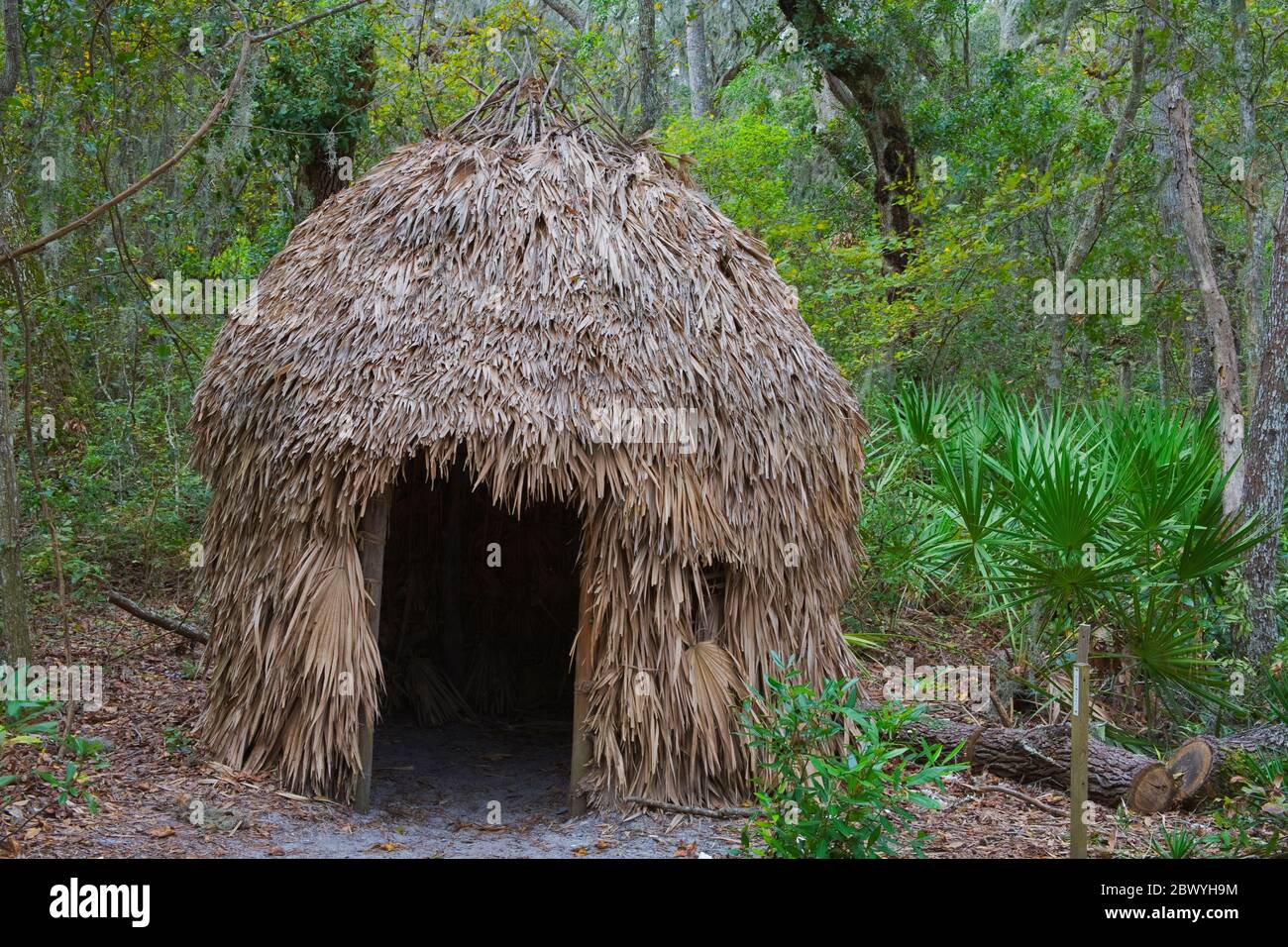Florida native american dwelling hi-res stock photography and images ...