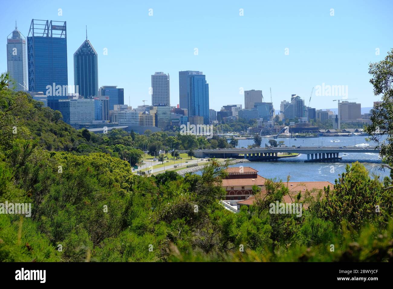 Perth swan river with swan hi-res stock photography and images - Alamy