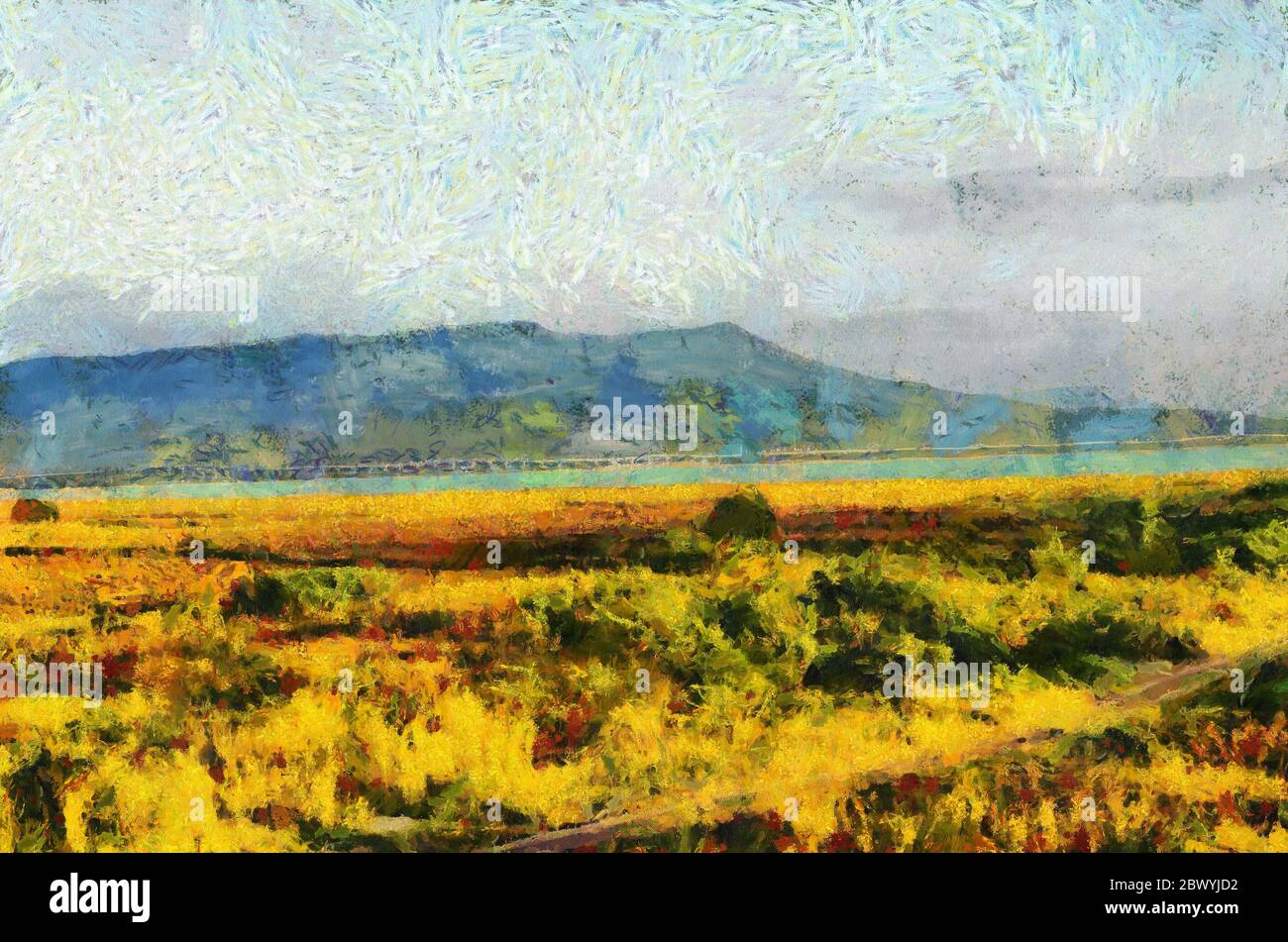 Meadows and fields In the sky there are clouds Illustrations creates an ...