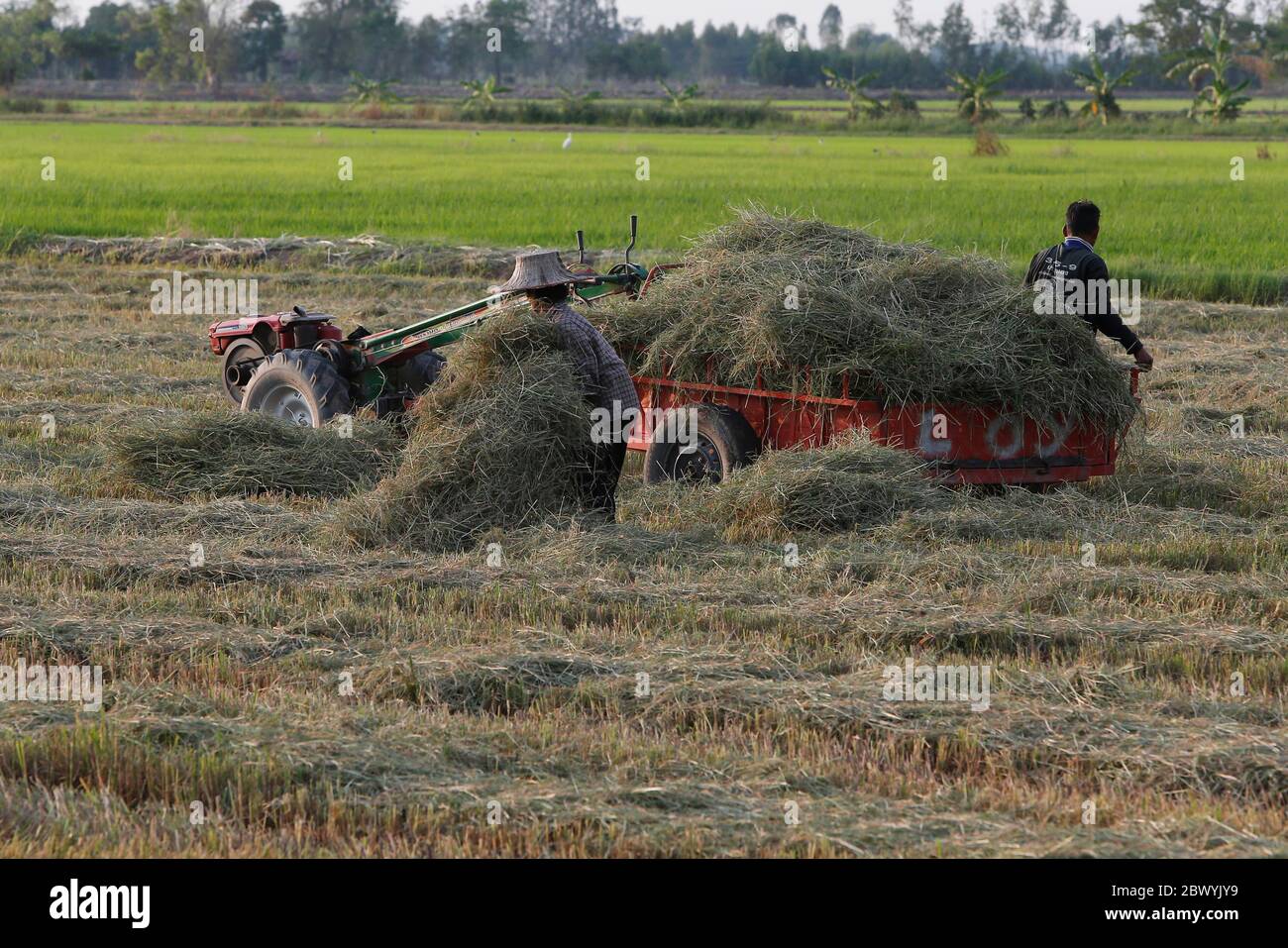 Motorized plough hi-res stock photography and images - Alamy