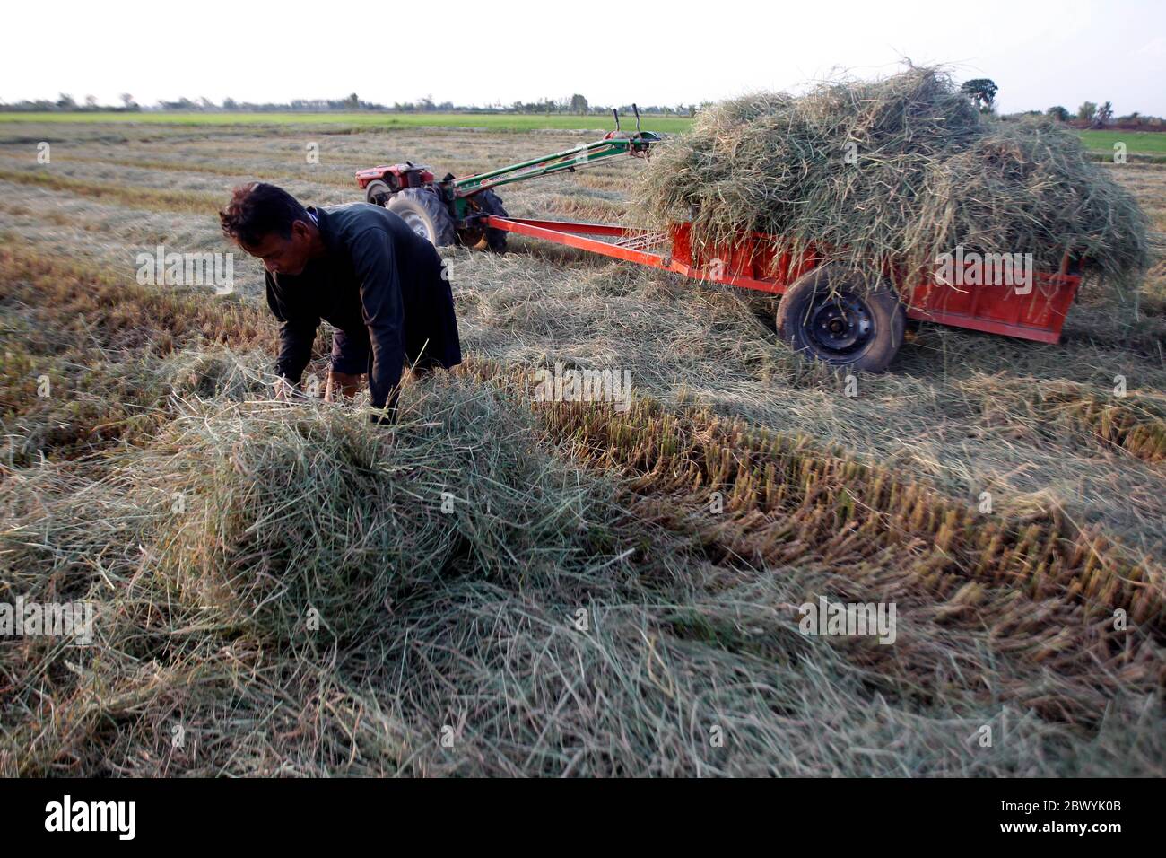 Motorized plough hi-res stock photography and images - Alamy