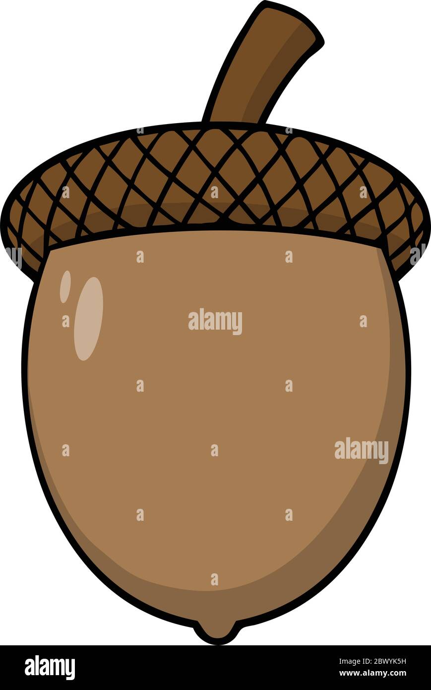 Acorn - A cartoon illustration of an Acorn Stock Vector Image & Art - Alamy