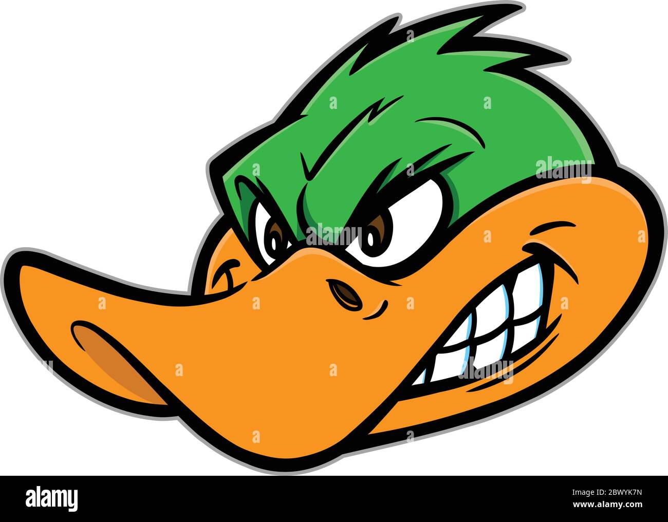 Angry Duck- A Cartoon Illustration of an Angry Duck Stock Vector Image ...