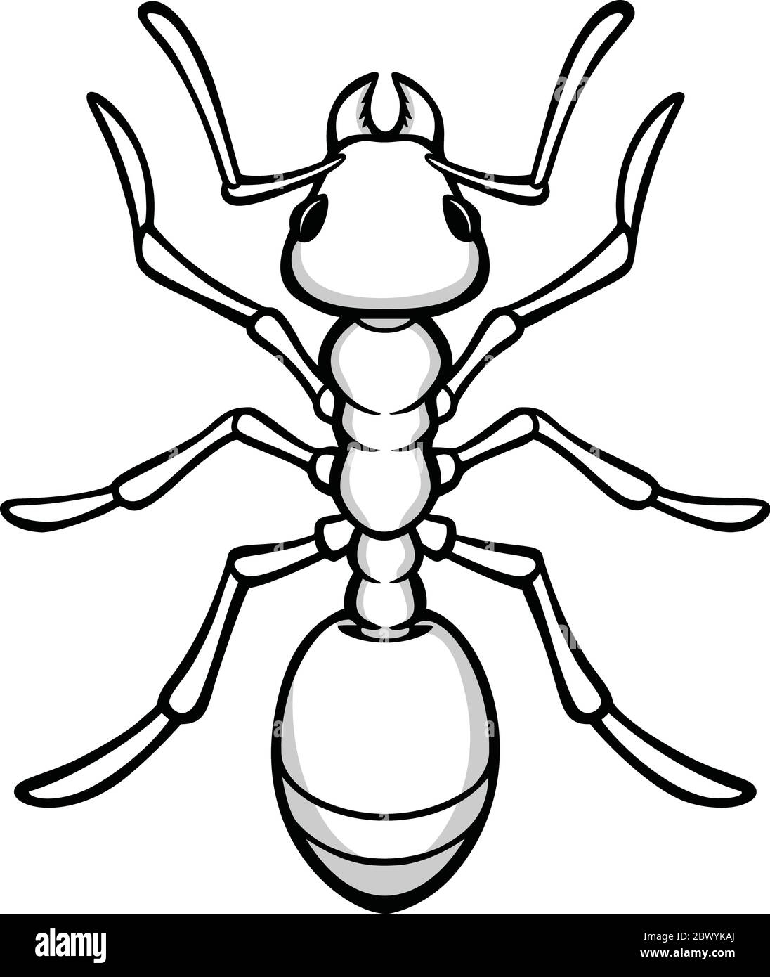 Black Ant Drawing