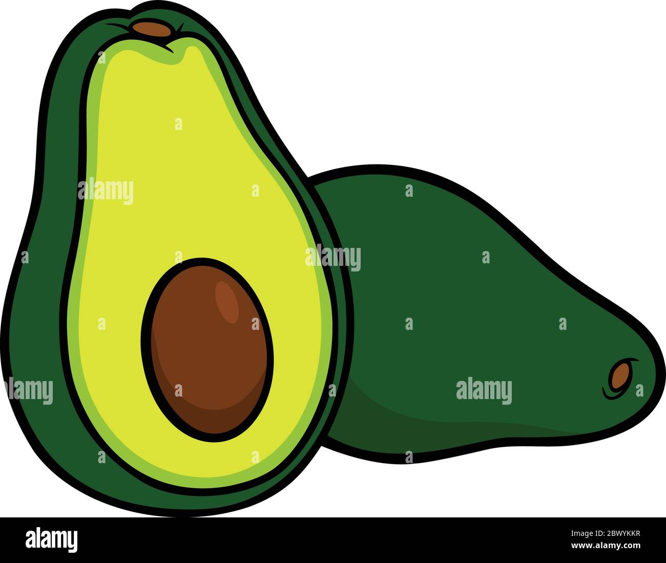 Avocados - A cartoon illustration of Avocados Stock Vector Image & Art ...