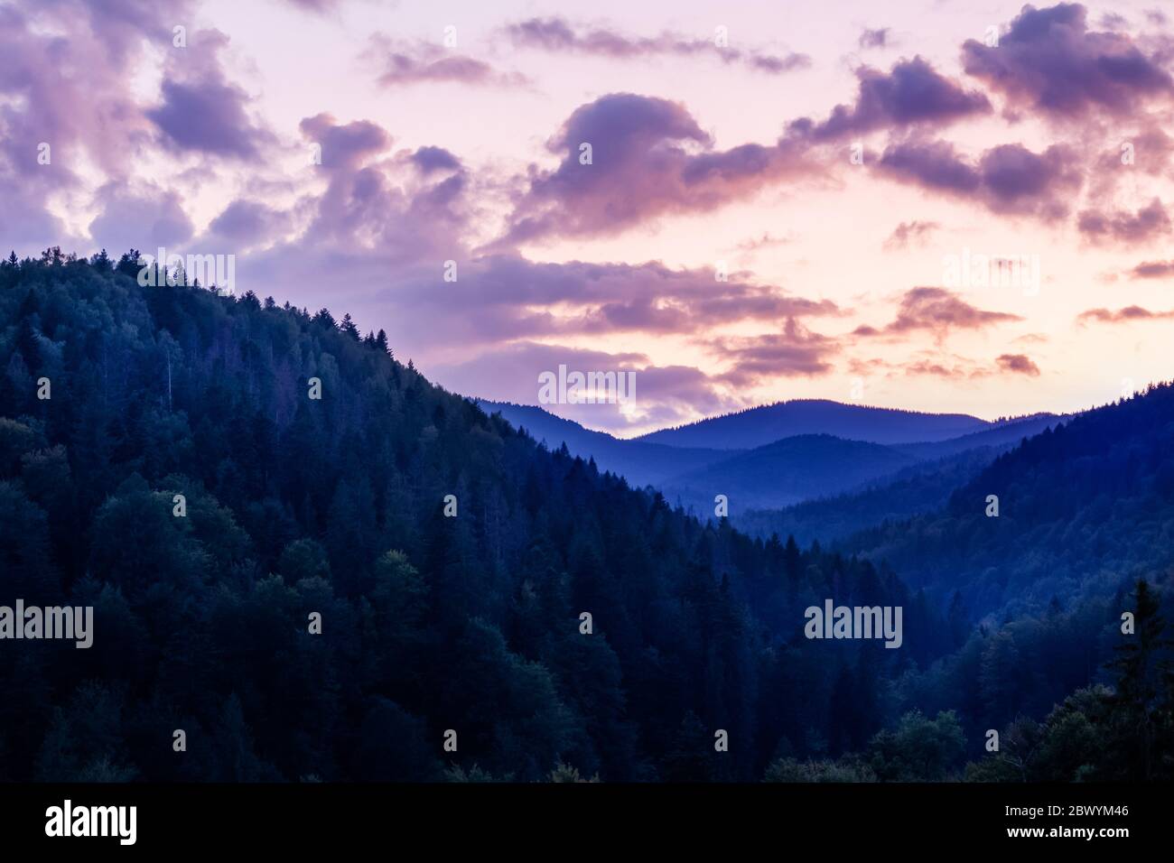 Landscape photo of forest sunset evening sky mountain hills, panoramic ...