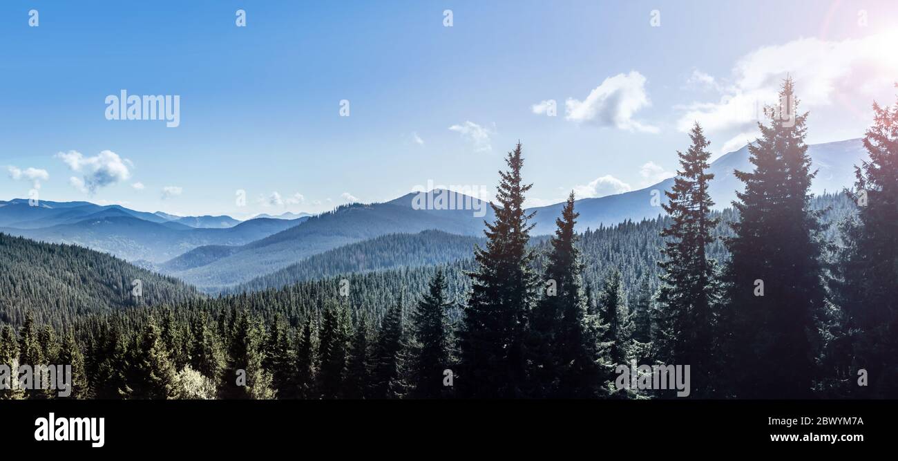Wide landscape photo of forest morning sky mountains, panoramic view ...