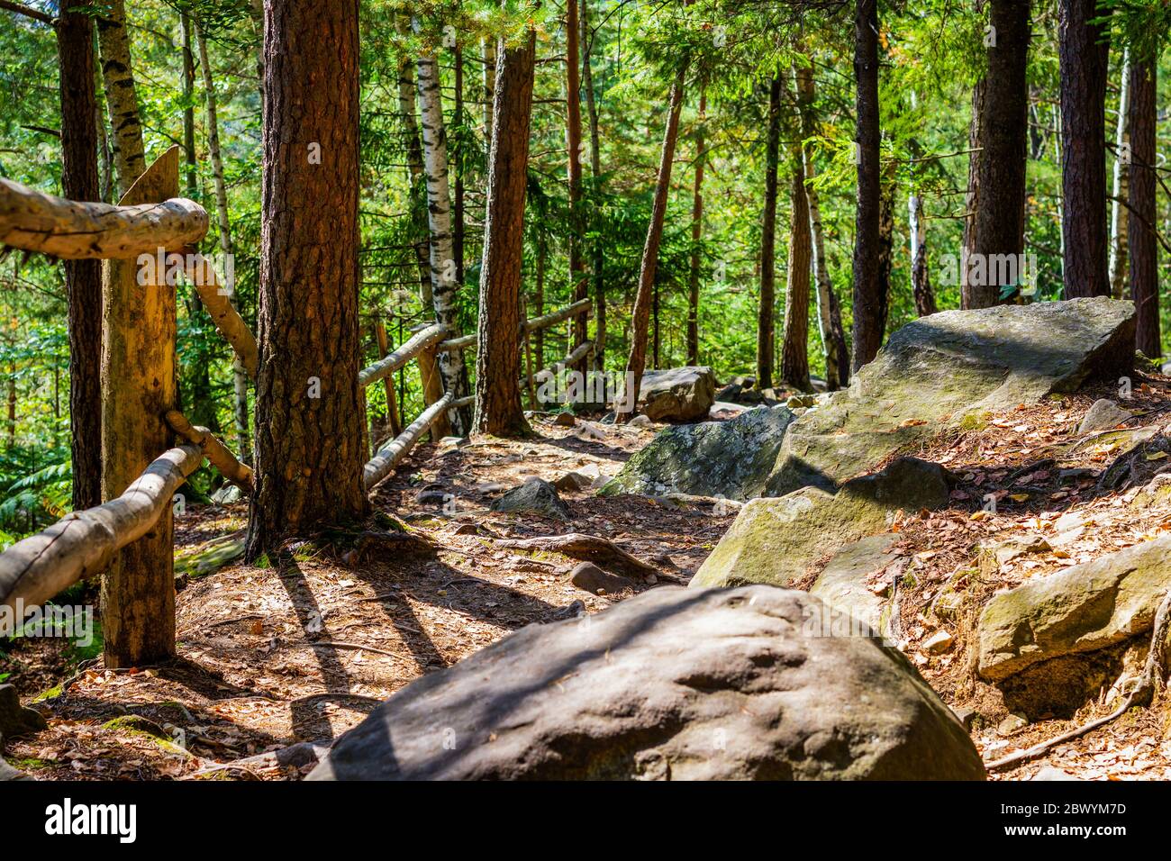 Summer forest trail landscape photo with handrails, moss and rocks ...