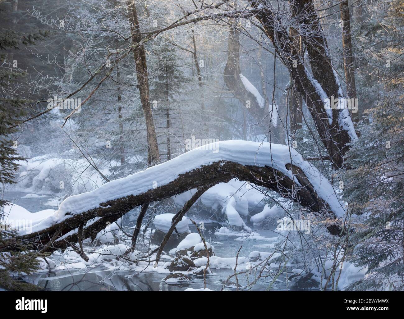 Sunlight postcard hi-res stock photography and images - Alamy