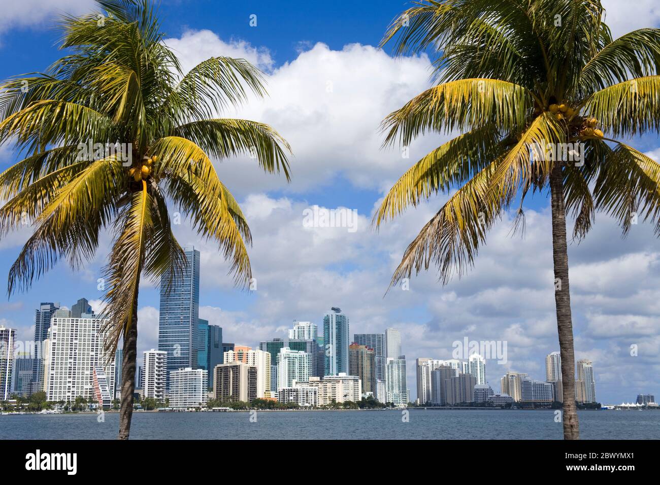 Miami skyline viewed from Key Biscayne, Miami, Florida, USA Stock Photo ...