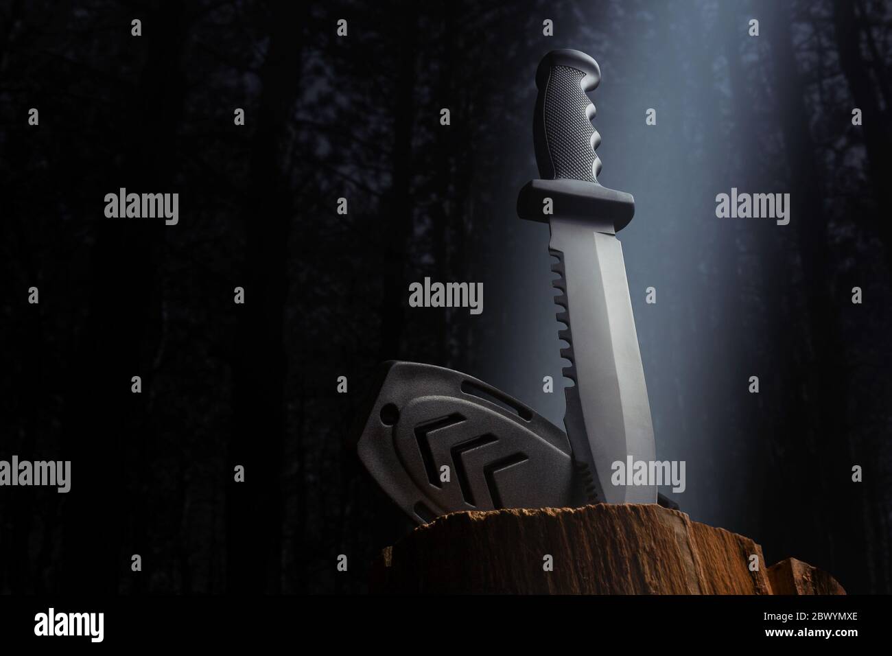 Dagger log hi-res stock photography and images - Alamy