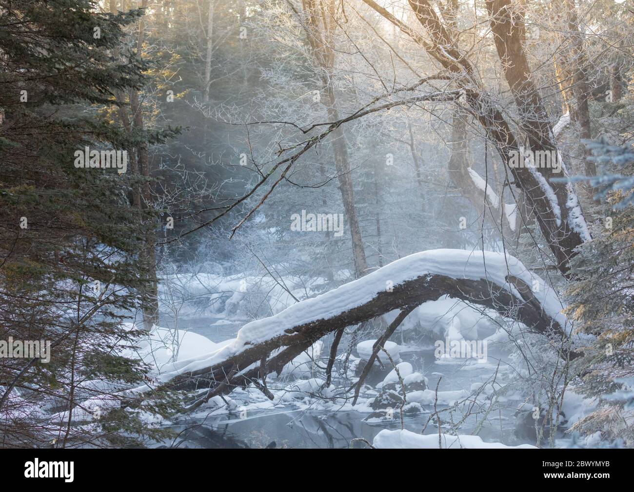 Winter creek in northern Wisconsin Stock Photo - Alamy