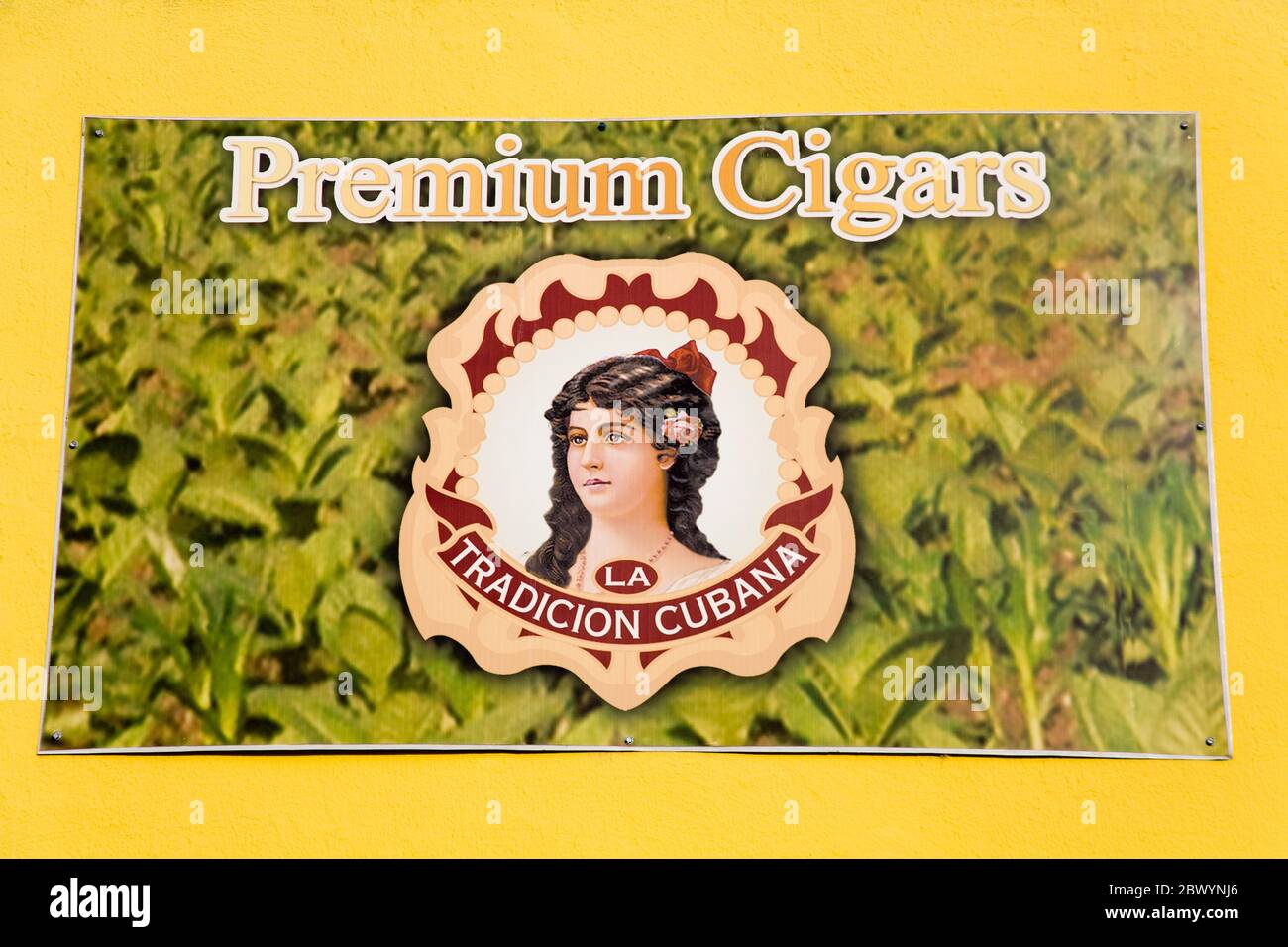 Cigar factory in Little Havana, Miami, Florida, USA Stock Photo - Alamy