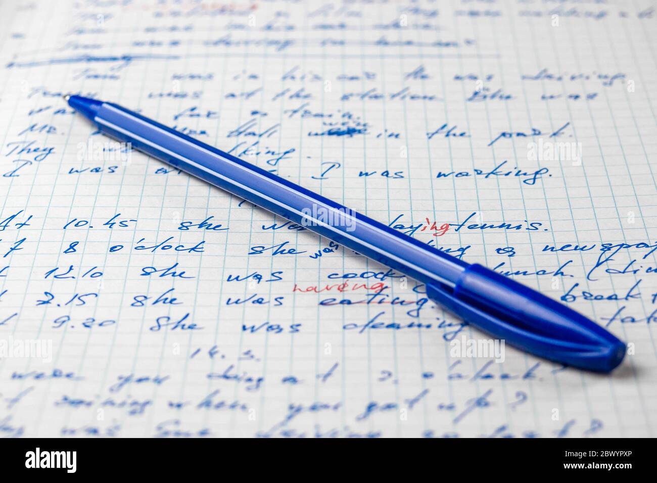 Sheets of school student notebook scribbled with a blue ballpoint pen ...