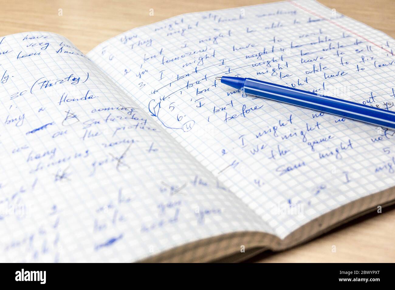 Sheets of school student notebook scribbled with a blue ballpoint pen ...