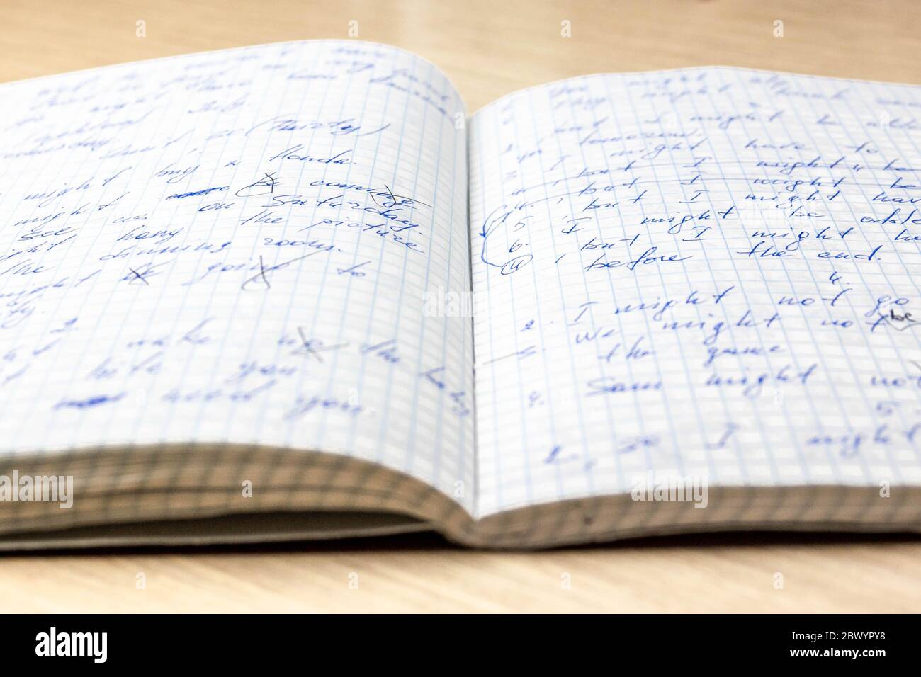 Sheets of school student notebook scribbled with a blue ballpoint pen ...