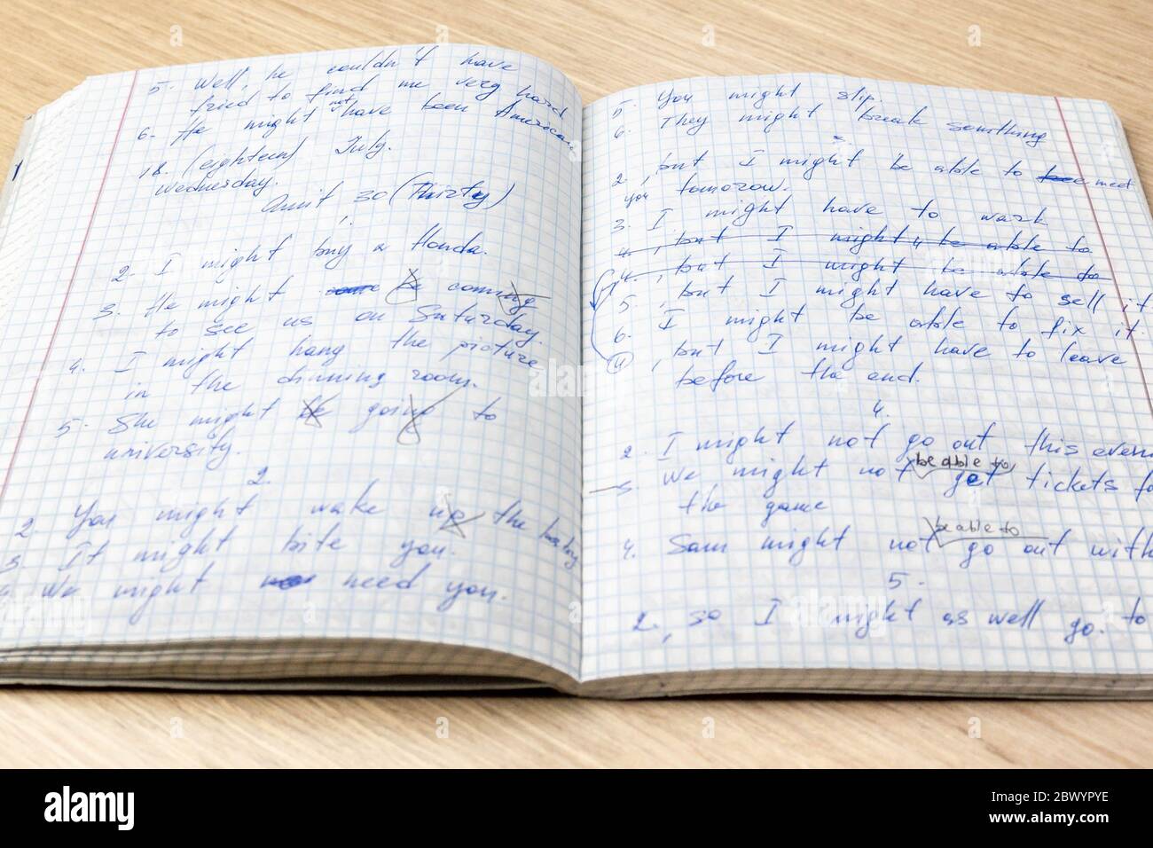 Sheets of school student notebook scribbled with a blue ballpoint pen ...