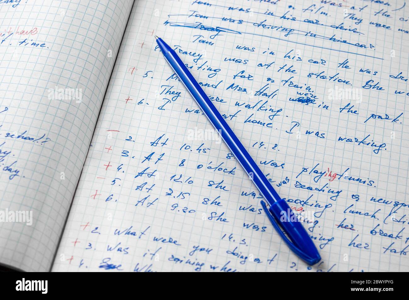 Sheets of school student notebook scribbled with a blue ballpoint pen ...