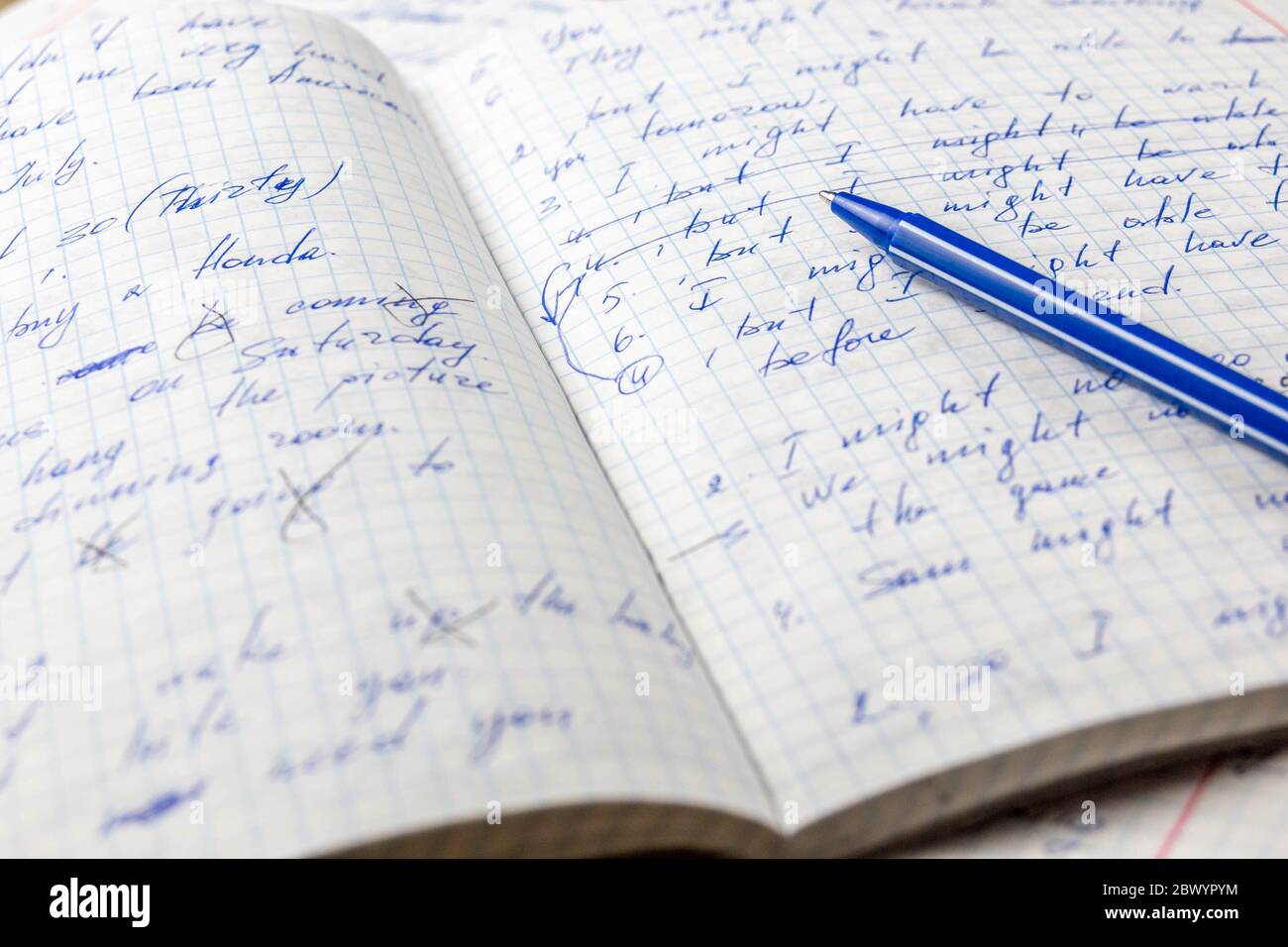Sheets of school student notebook scribbled with a blue ballpoint pen ...